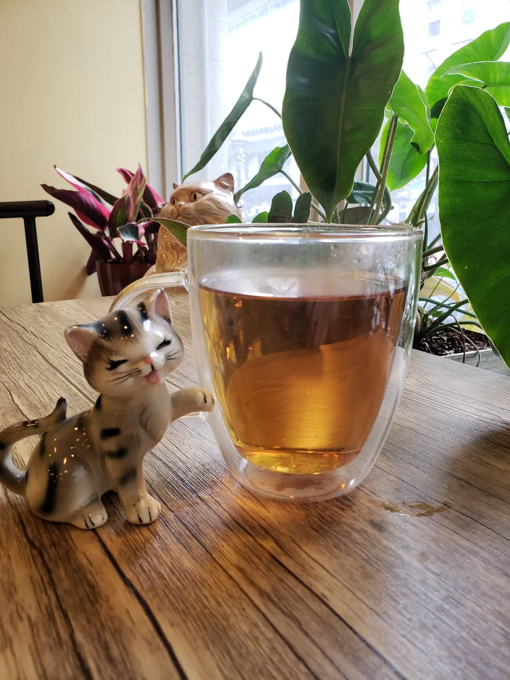 Cafe Offerings — The Pawsitive Cafe