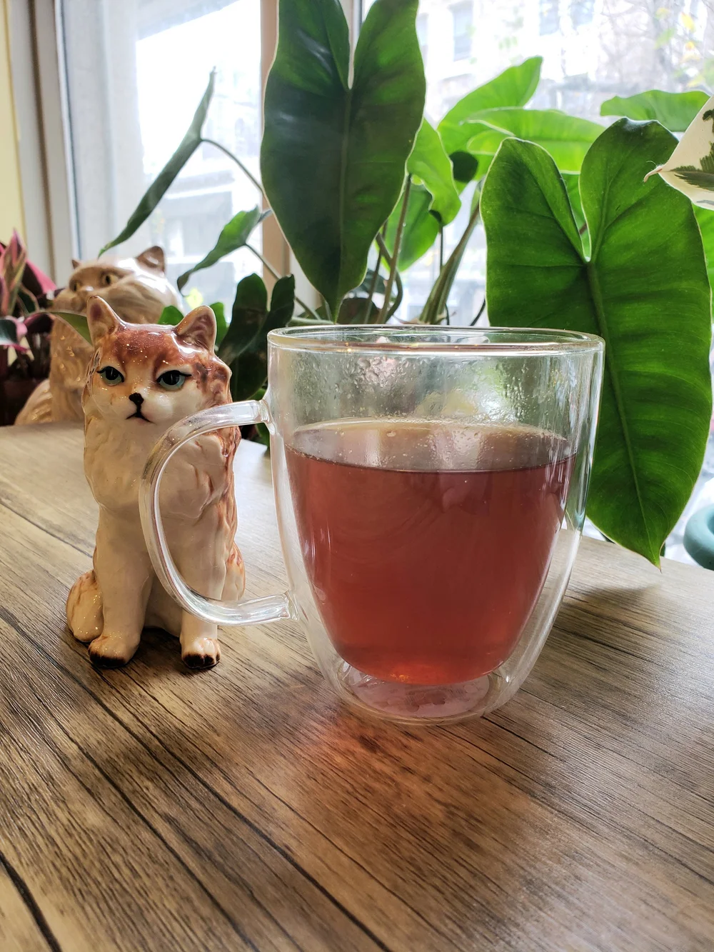 Cafe Offerings — The Pawsitive Cafe