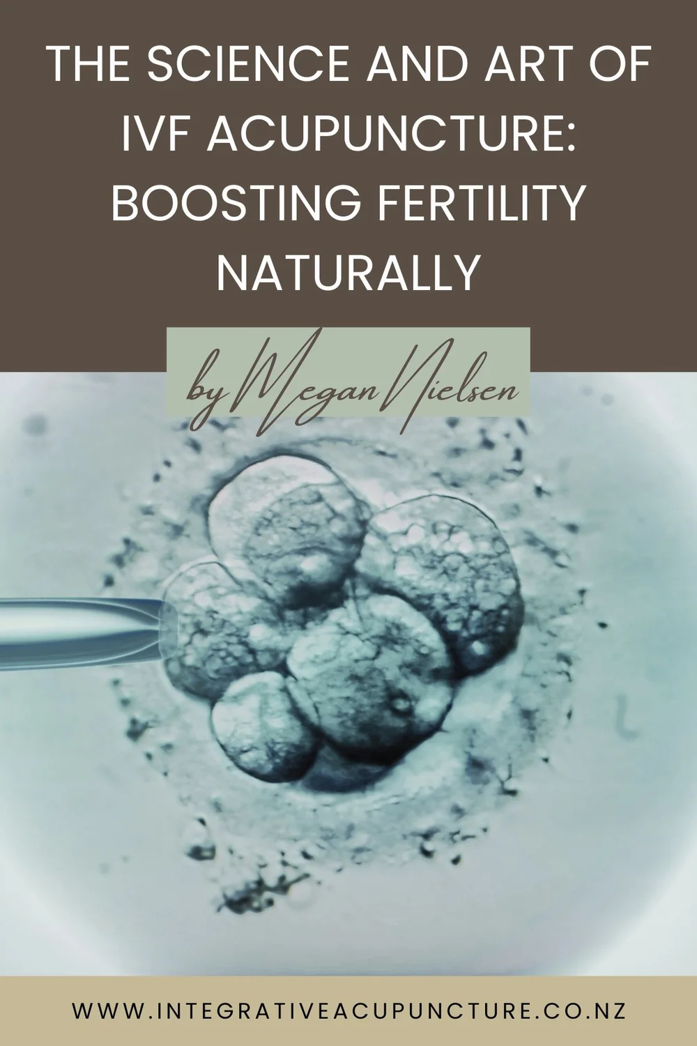 The Science and Art of IVF Acupuncture: Boosting Fertility Naturally ...