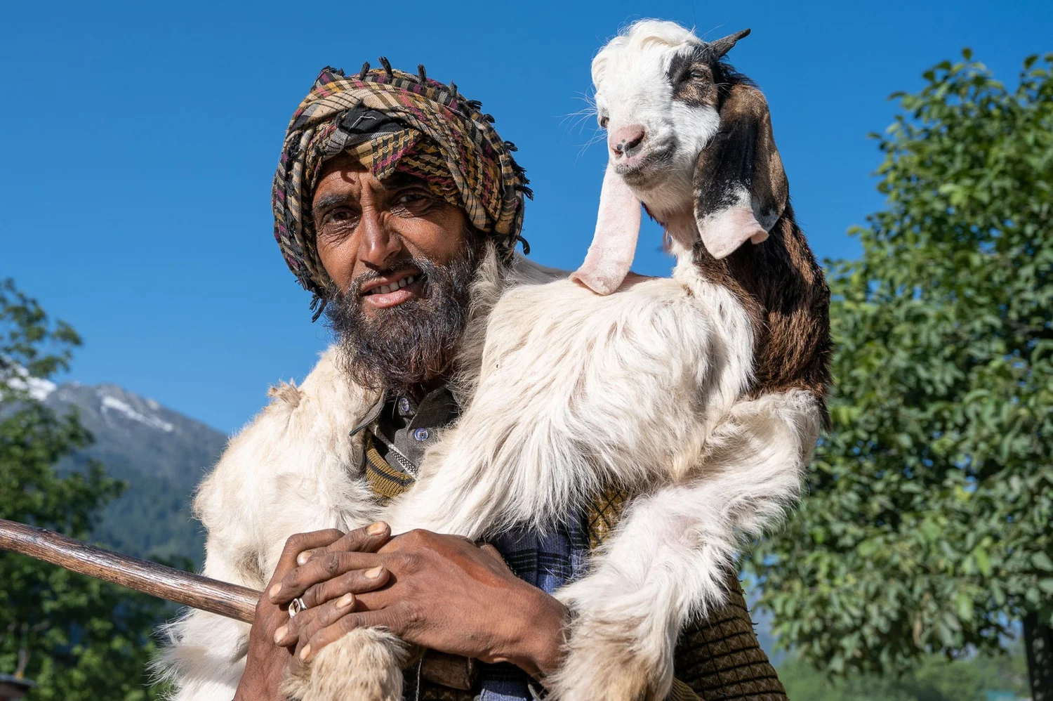 The Best Kashmir & Zanskar Tour — Nathan Horton Photography