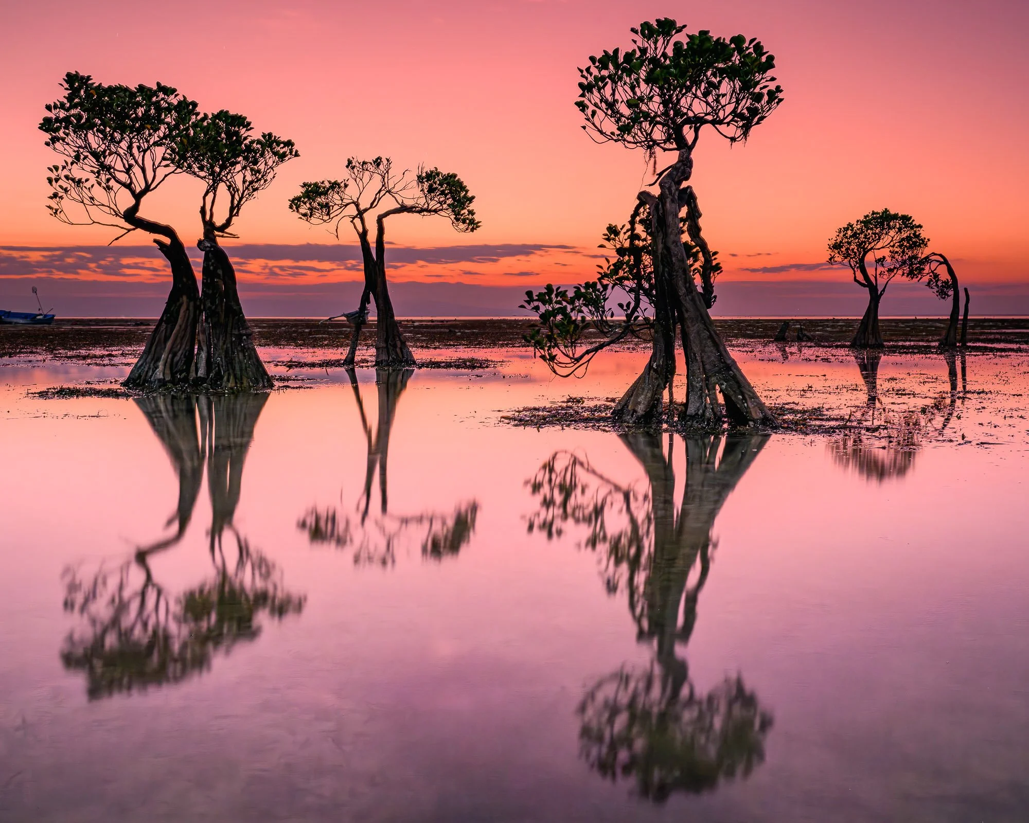 Indonesia - Sumba & Flores Tour — Nathan Horton Photography