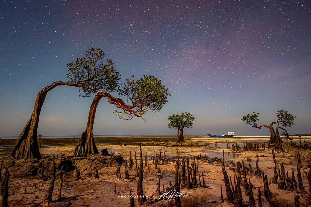 Indonesia - Sumba & Flores Tour — Nathan Horton Photography