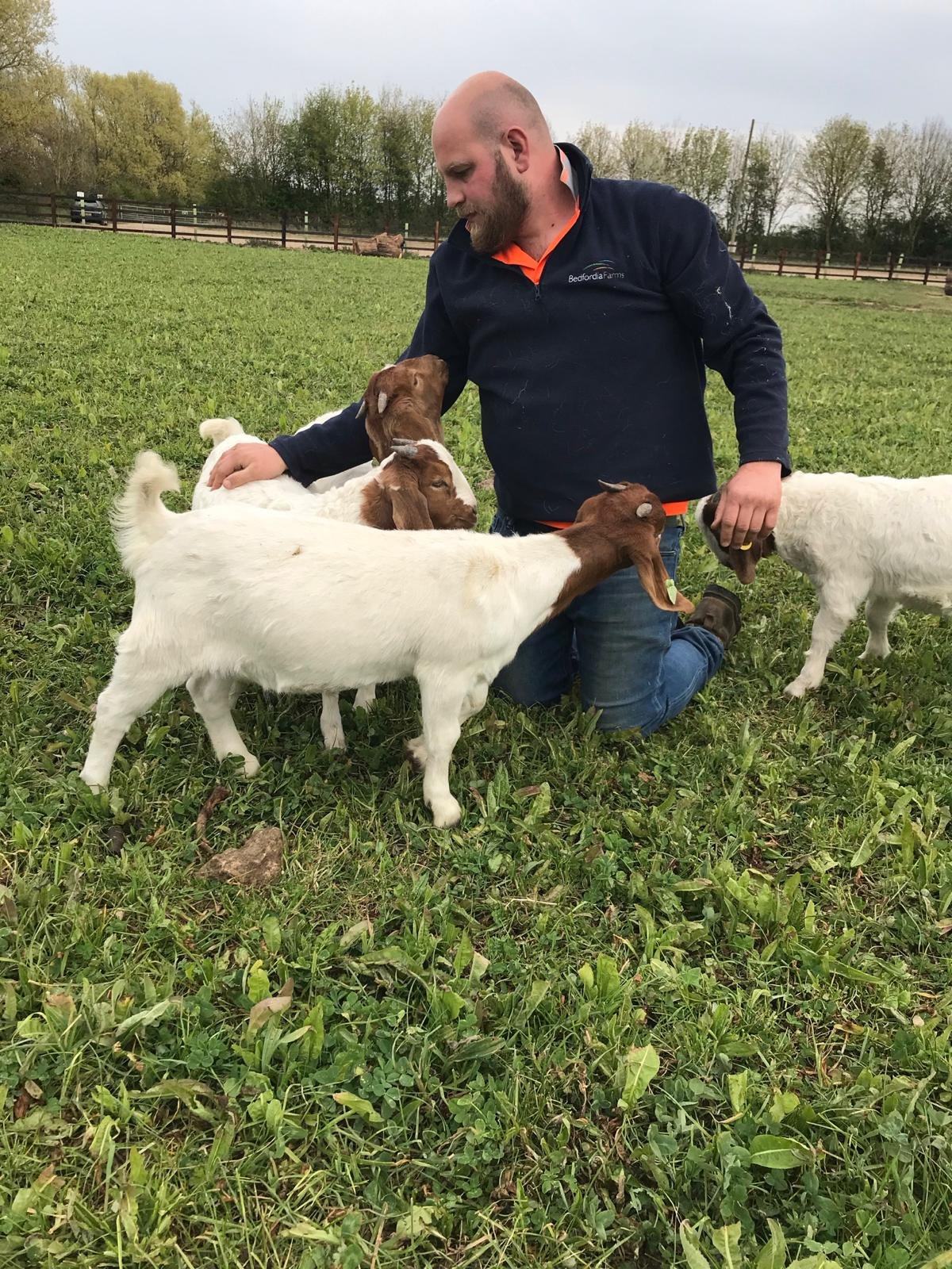 About us — Wild Berry Farm