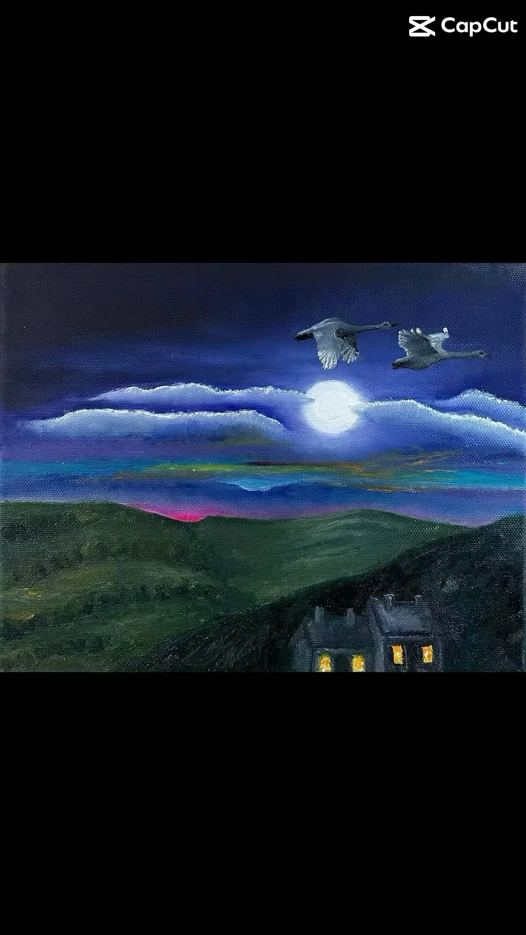 Commissions — Colleen Fitzpatrick Art