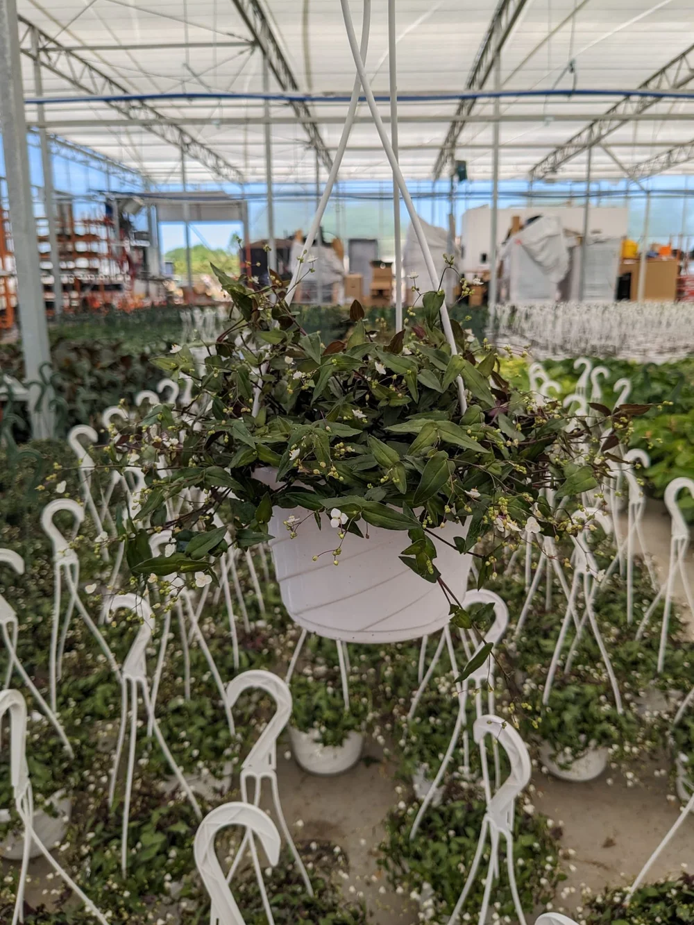 Photos — Win Gardens