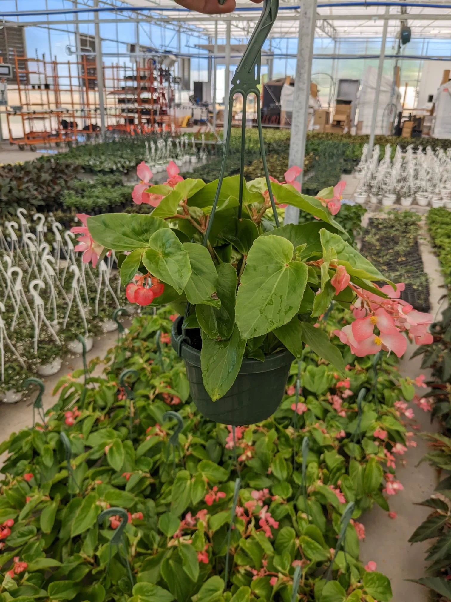 Photos — Win Gardens