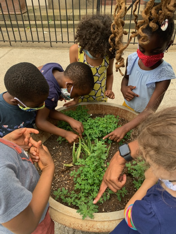 Summer Day Camp — BCA