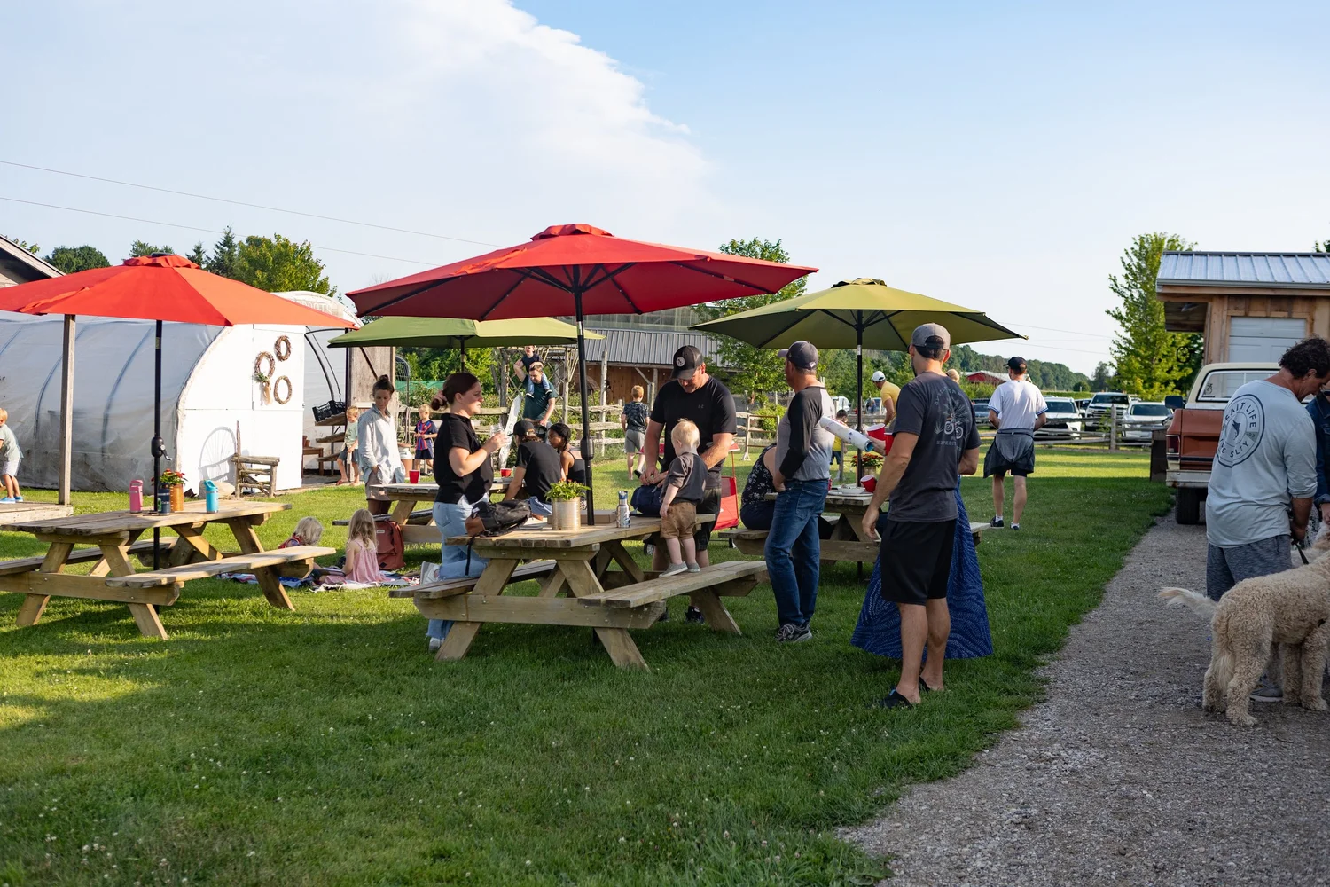 Pizza on the Farm — Grassroots Woodfired Pizza