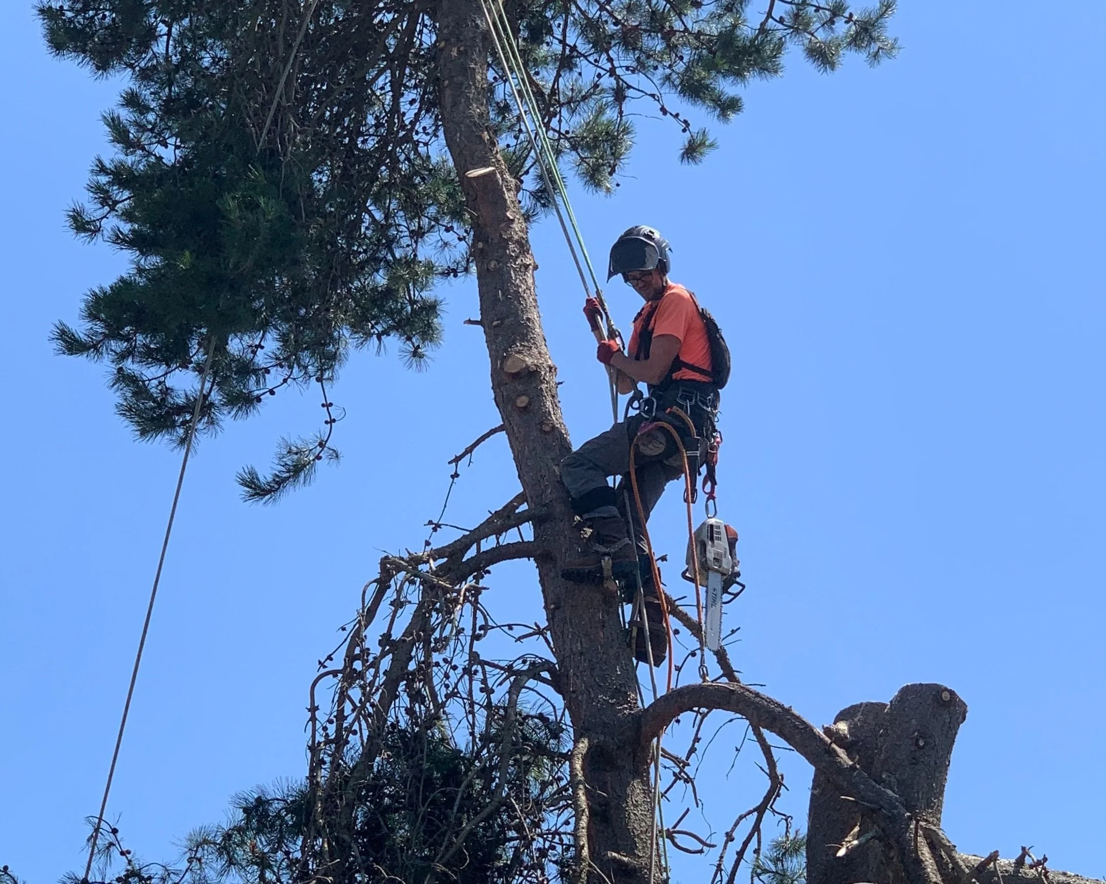 J. Matthew Tree Service