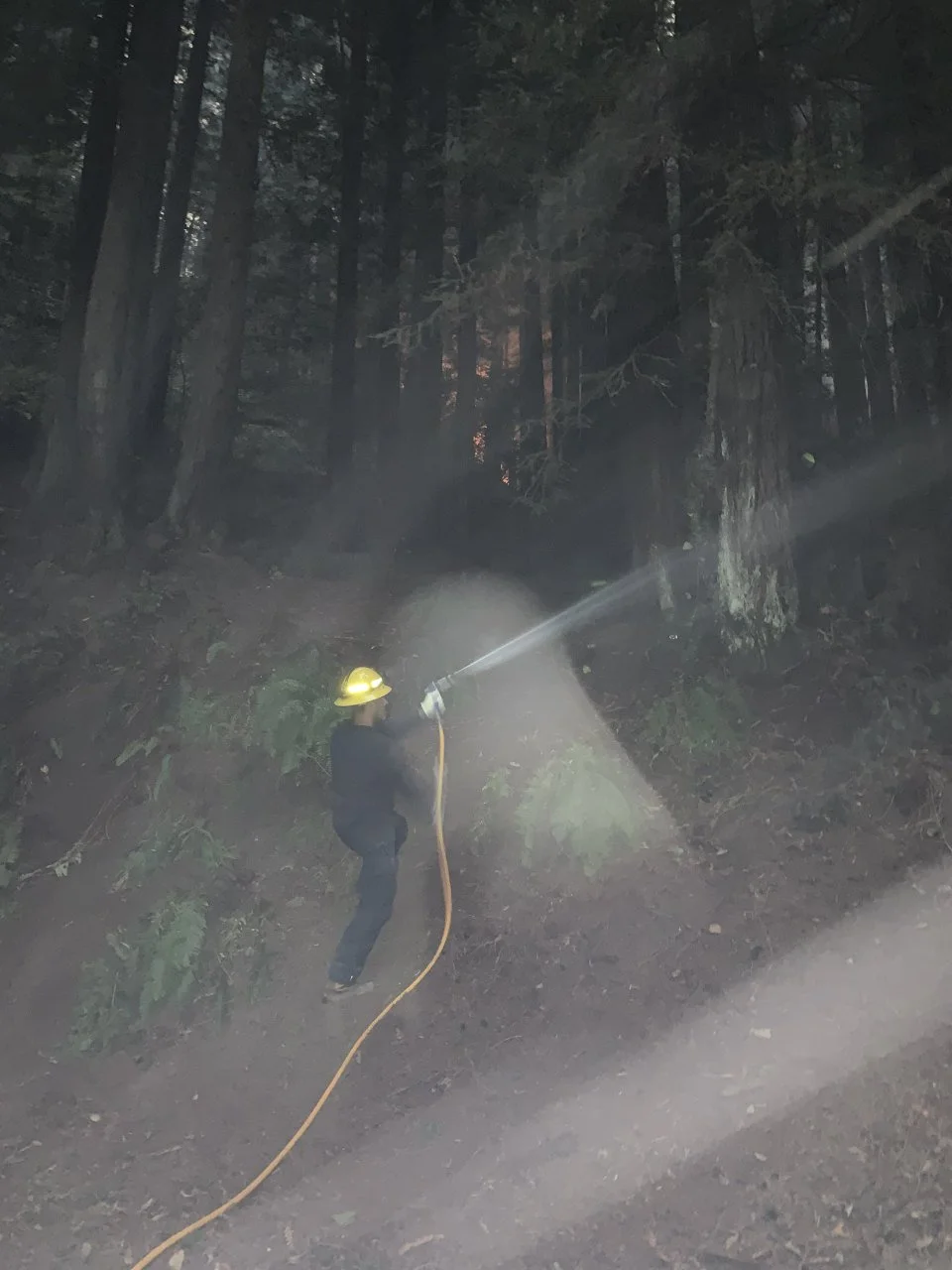 Gallery — All Risk Shield