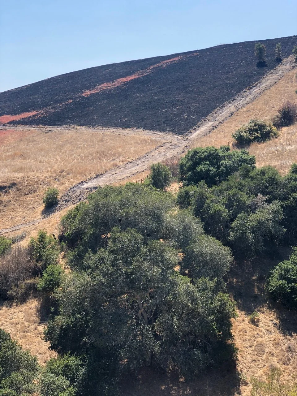 Gallery — All Risk Shield