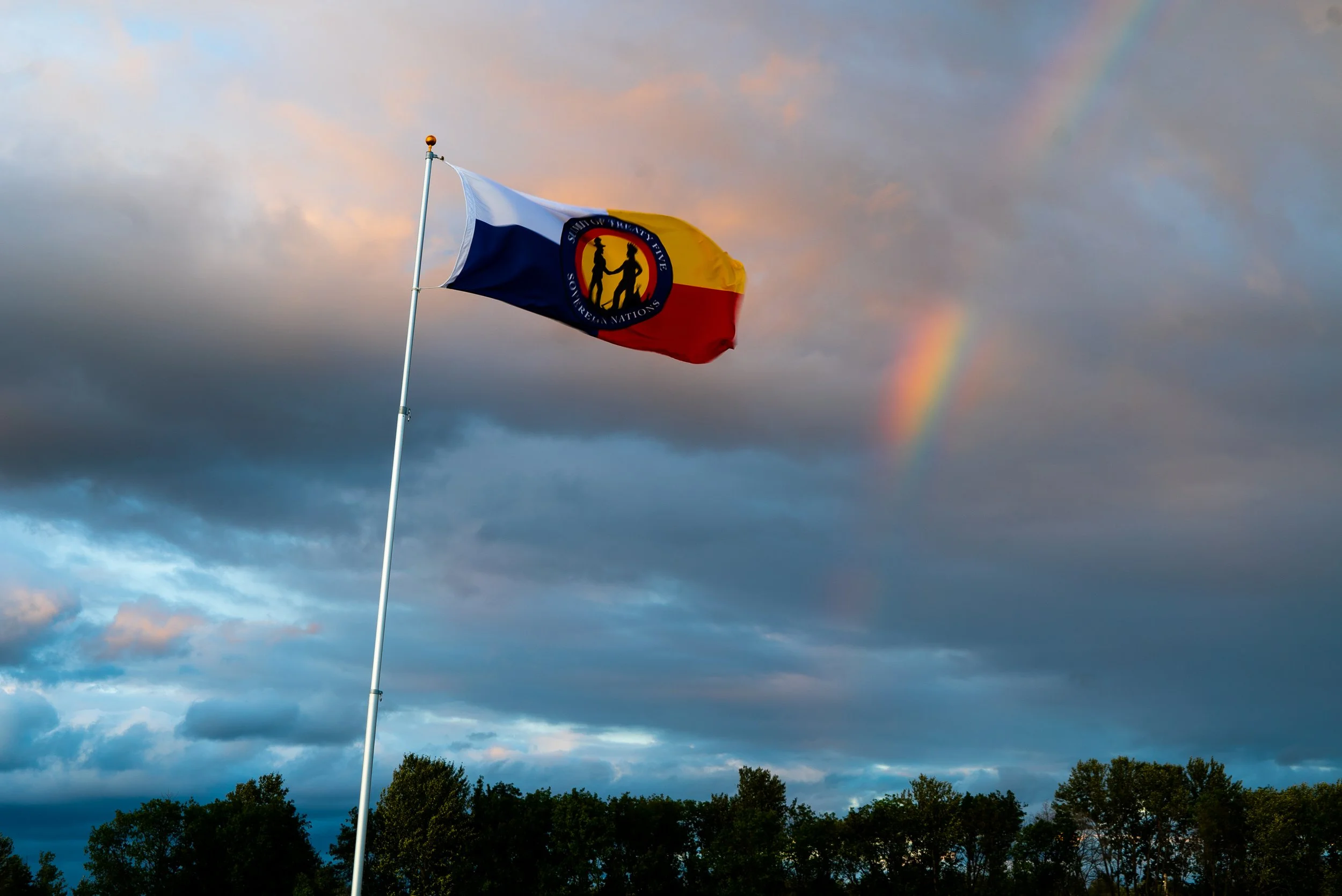 Treaty 5