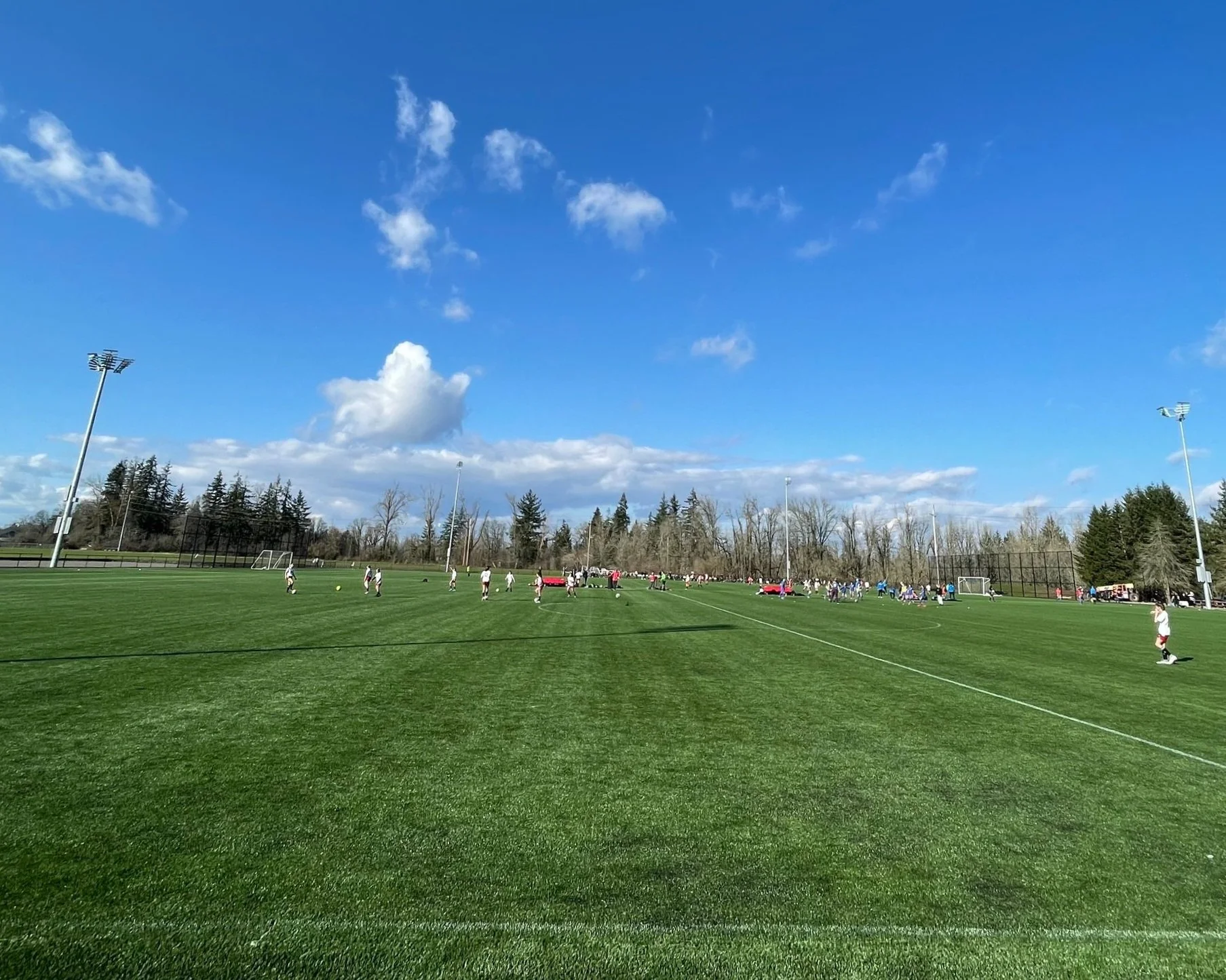 CFC’S TURF FIELDS RECEIVE FIFA PRO RATING, ONLY 2 OF 11 FIELDS IN USA ...