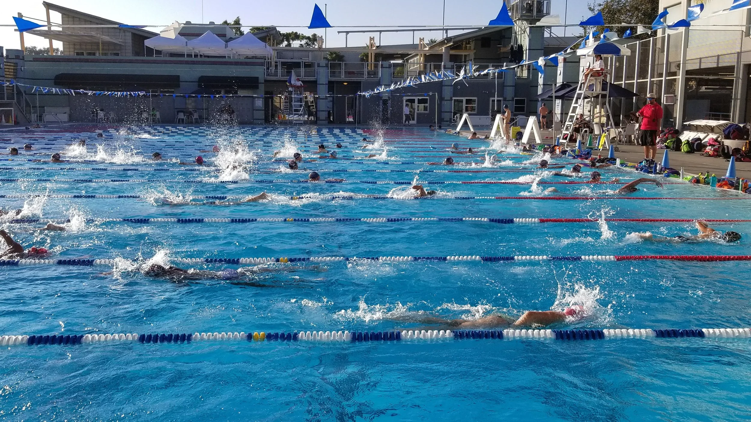 Swim Team — TSM Aquatics