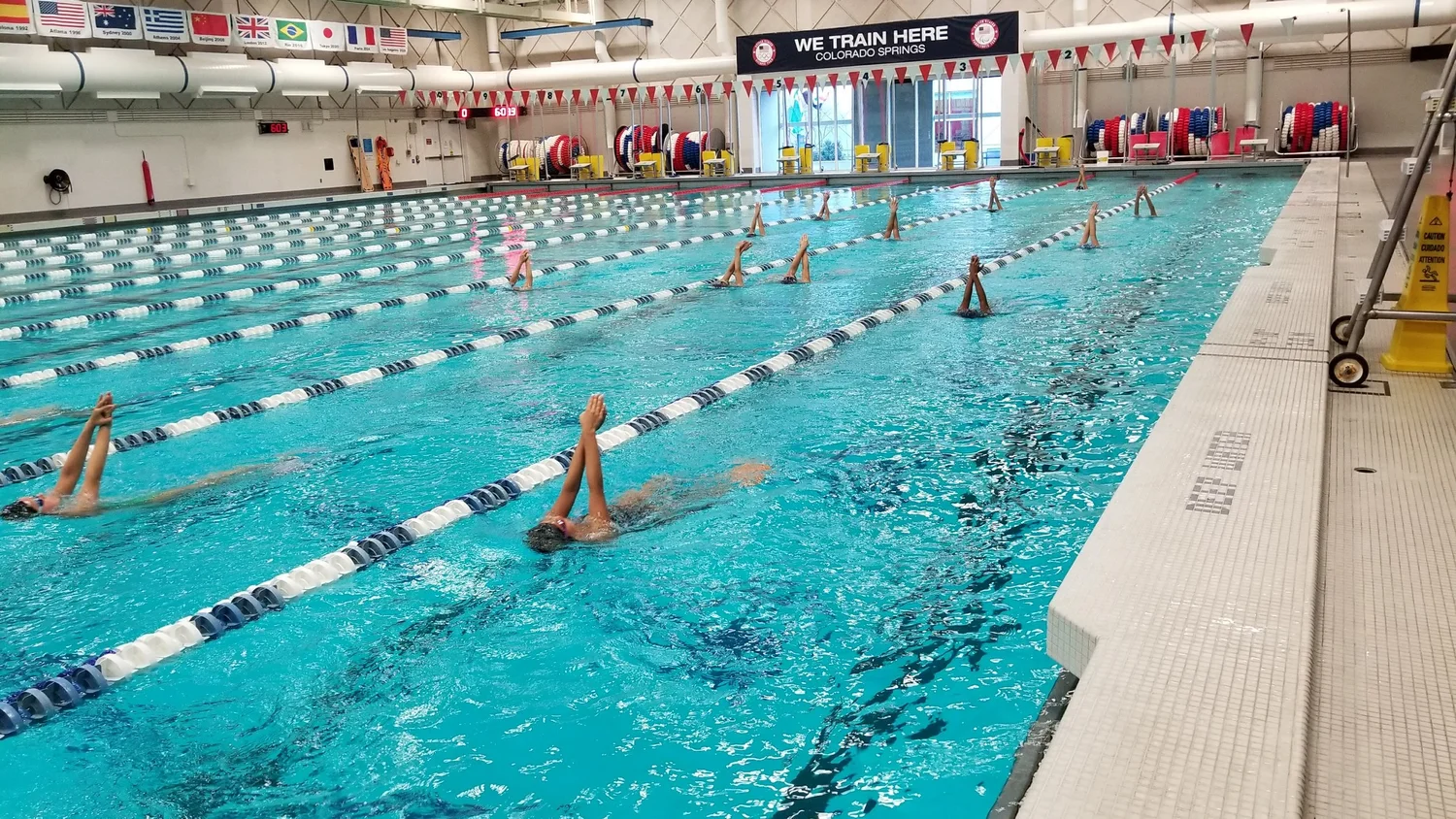 Swim Team Program - Olympic Athletes - Santa Monica | TSM Aquatics ...