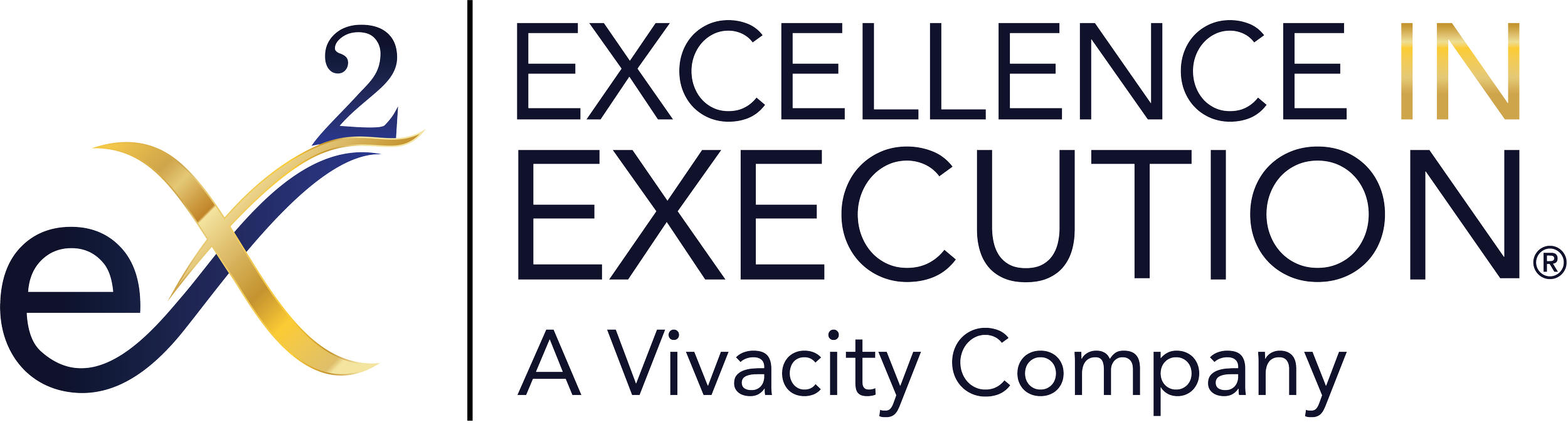 Vivacity Infrastructure Group