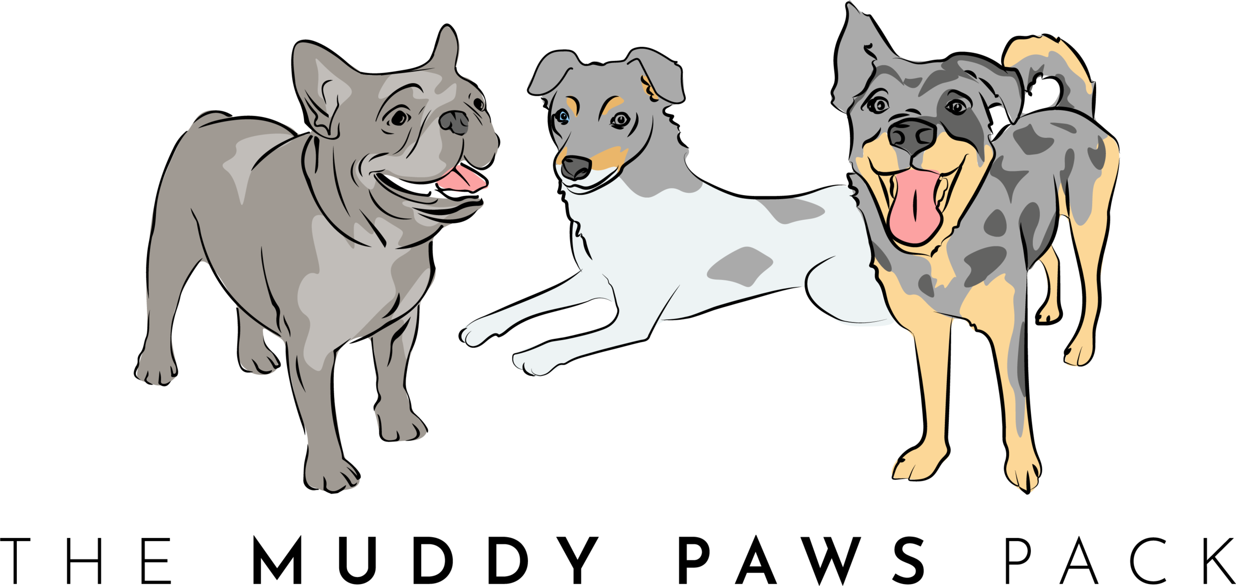 What Can I Do For My Dogs Muddy Paws