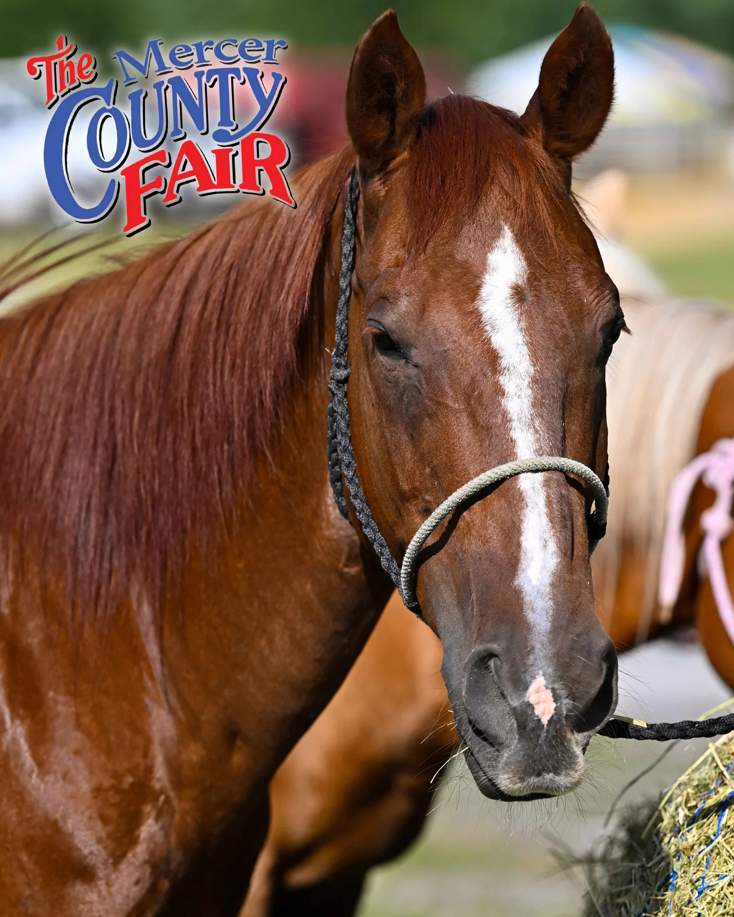 Fair Schedule — Mercer County Fair