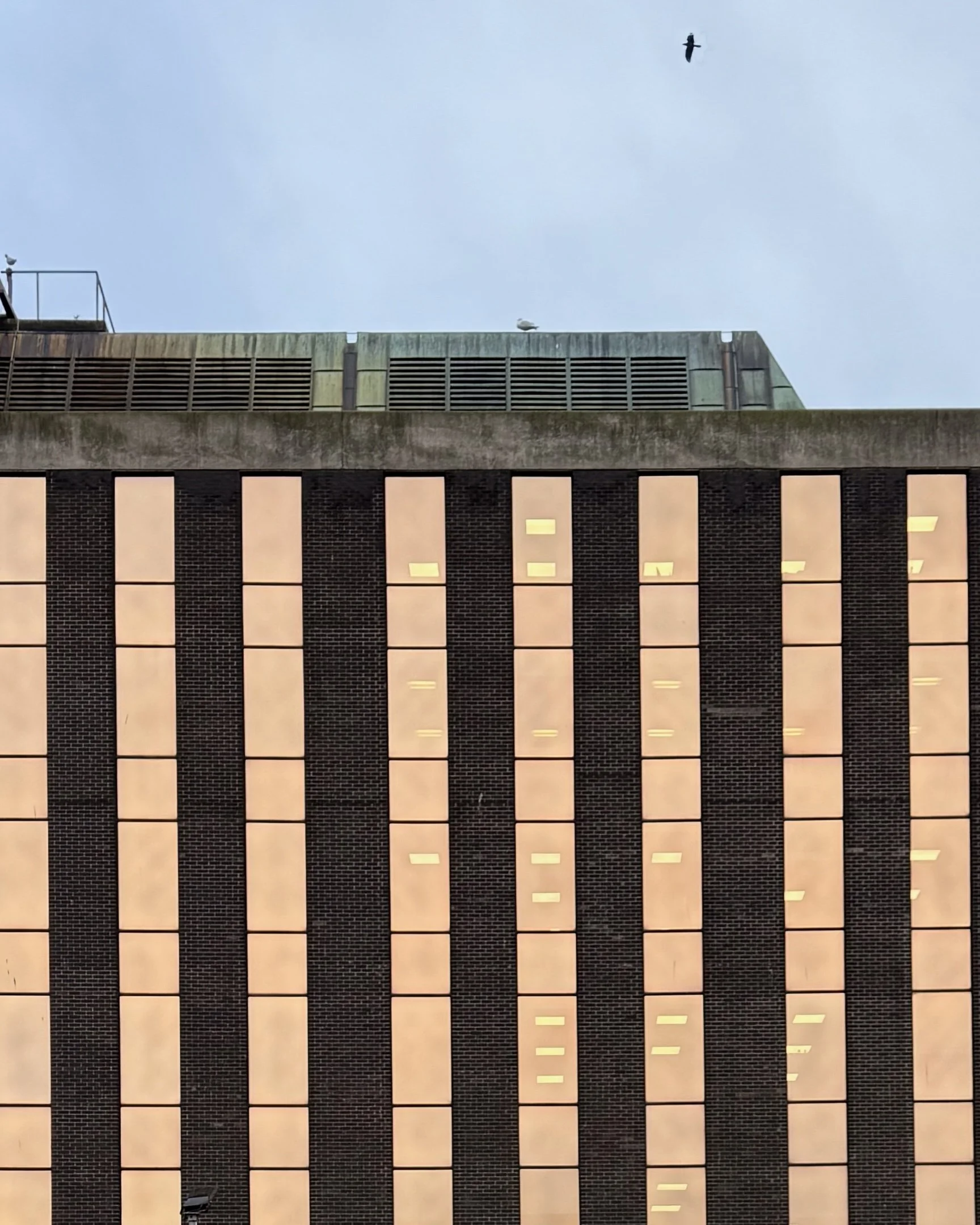 Niamh O’Malley at Visual Carlow, Ireland, September 2026 | Vardaxoglou ...