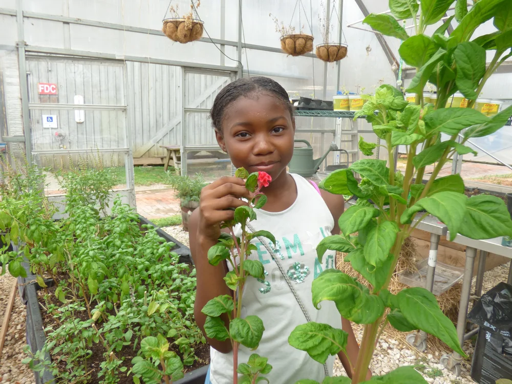 Baltimore Urban Gardening with Students — Living Classrooms Foundation