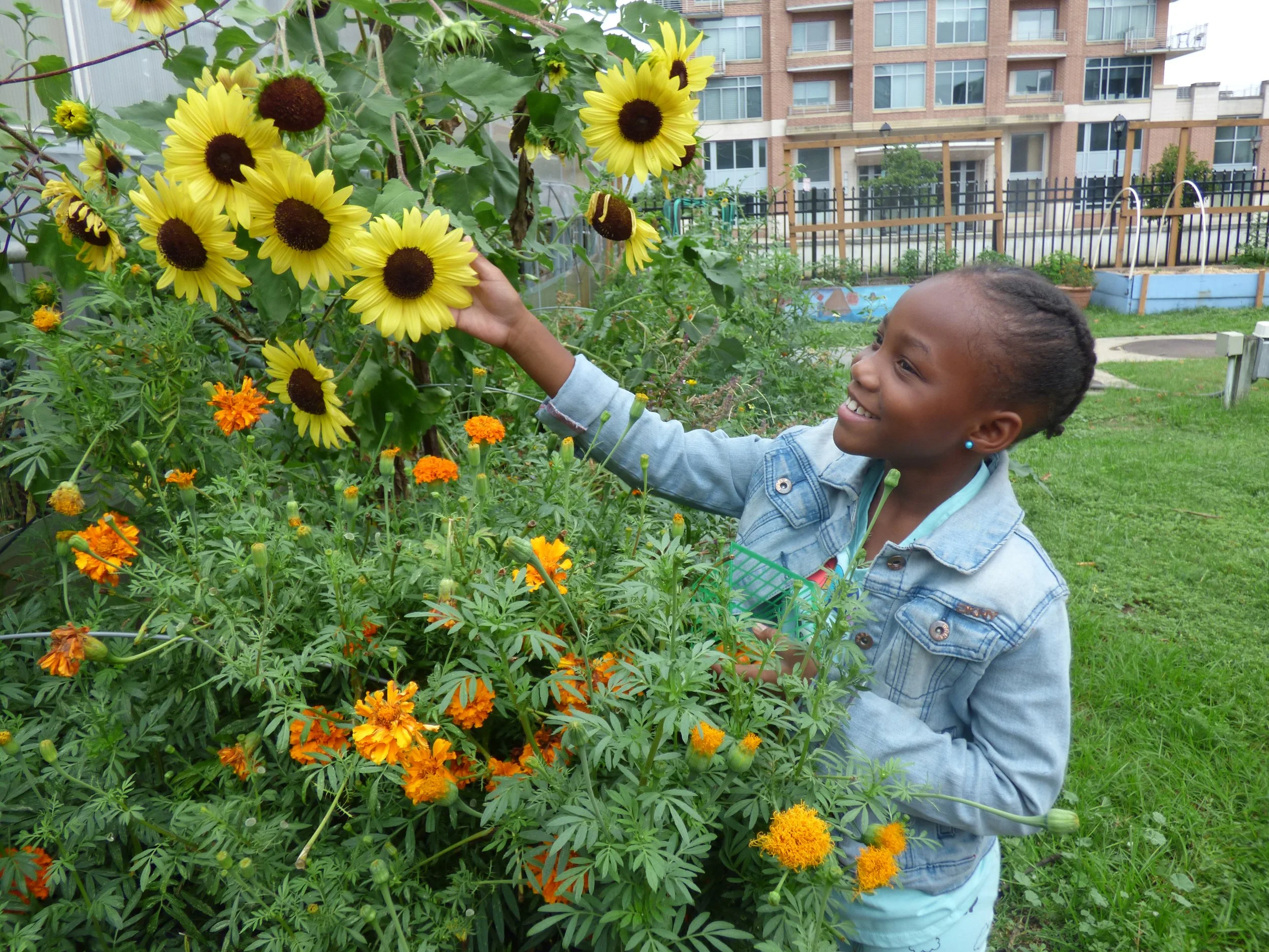 Baltimore Urban Gardening with Students — Living Classrooms Foundation