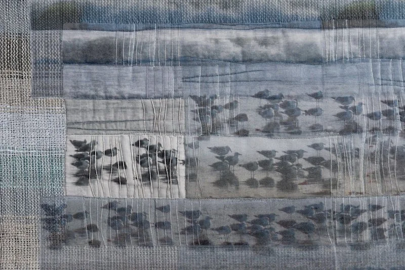 Portfolio — Cameron Taylor-Brown