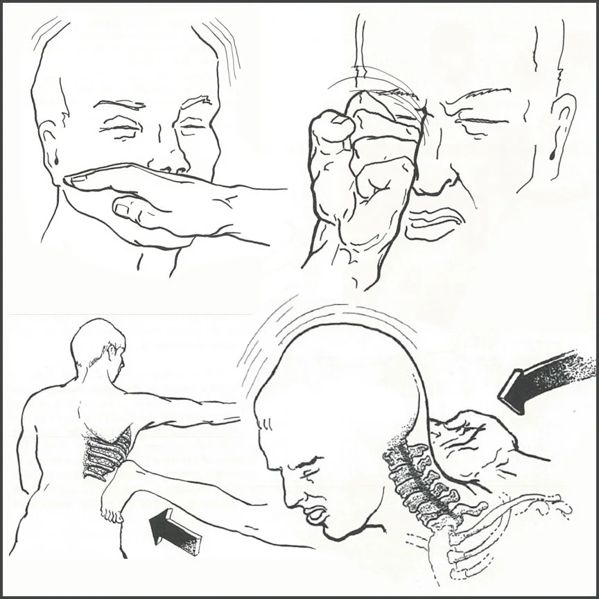 Kenpo Karate Forms — Brian C. Adams Kenpo Karate & Integrated Martial Arts