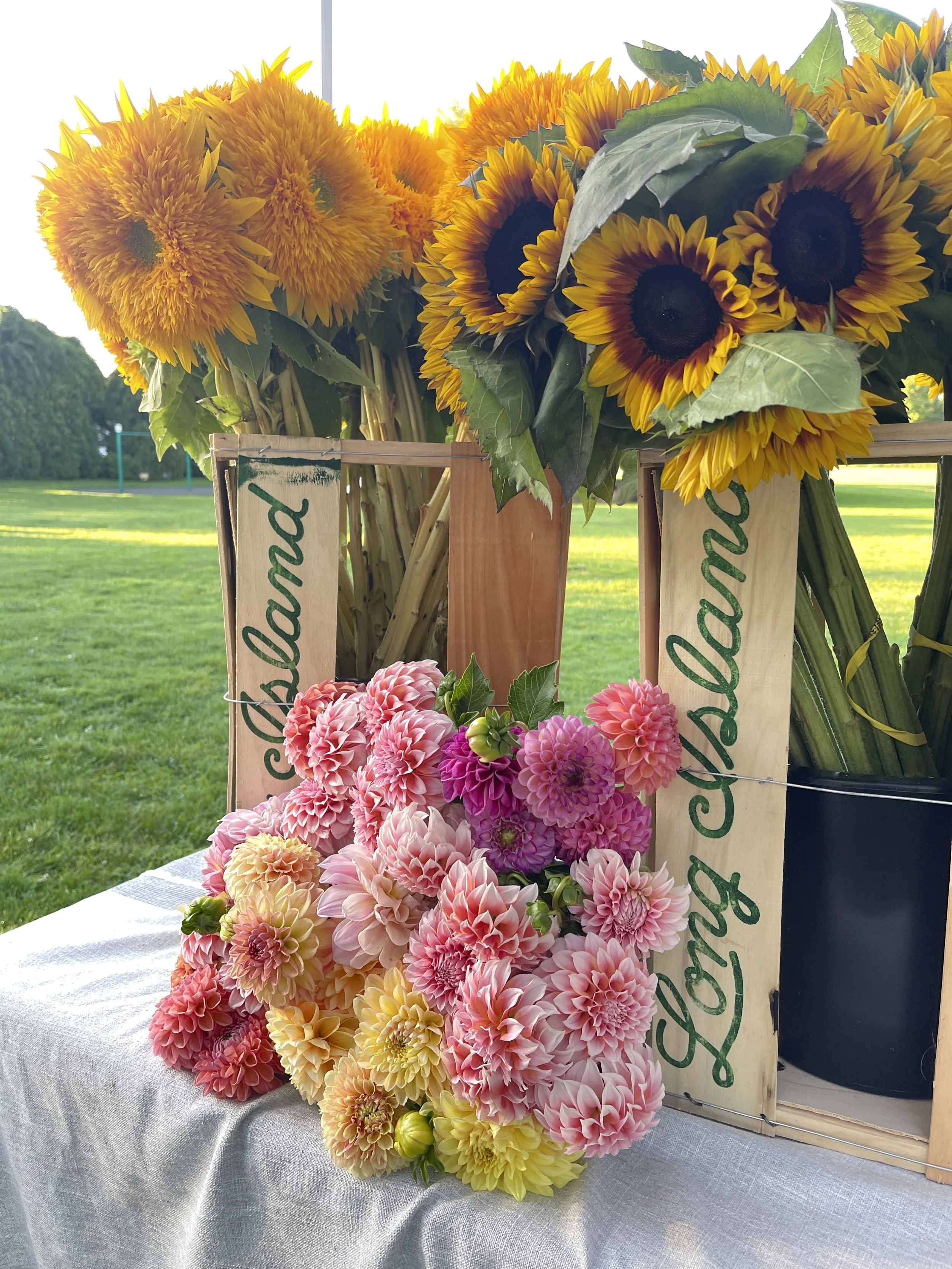 Backyard Blooms Northfork Flower Farm | Homegrown, organic flowers and ...