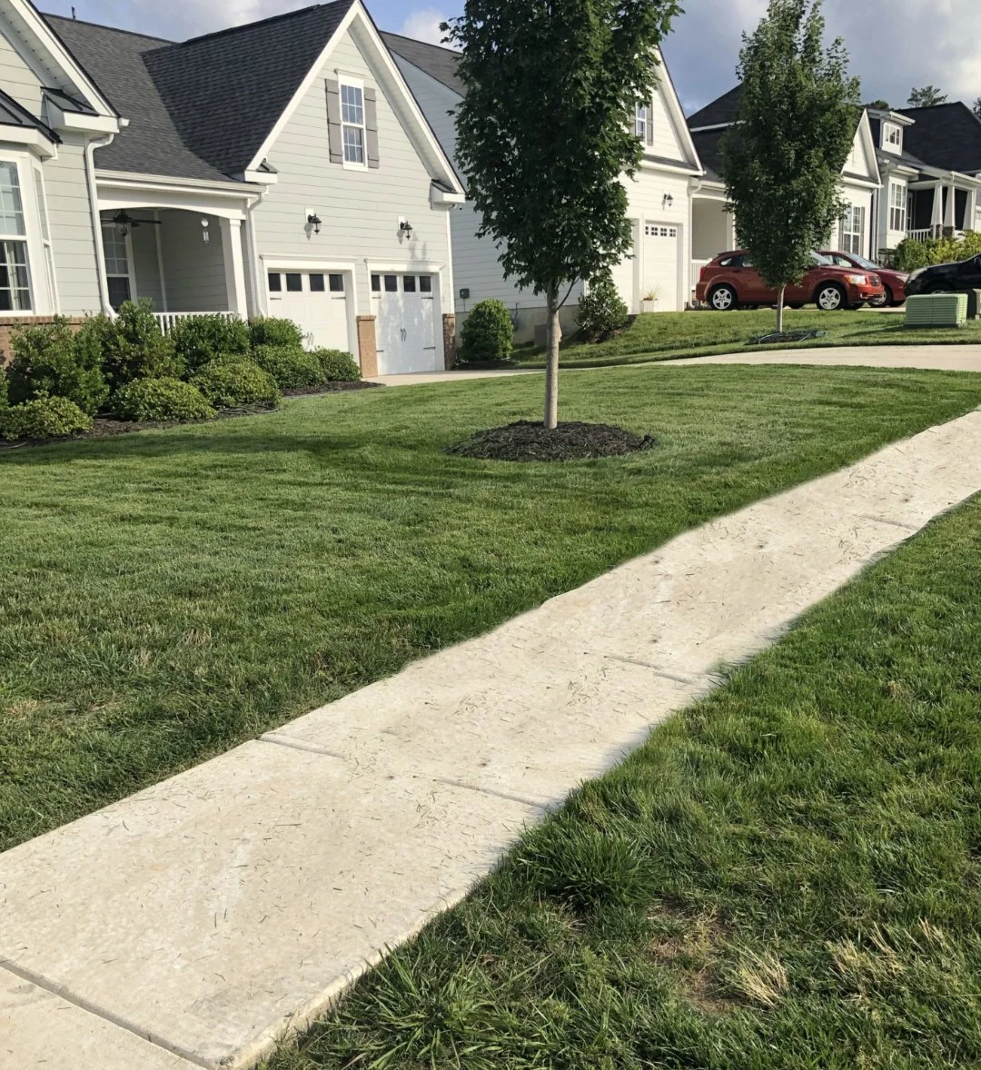 Eden Landscaping