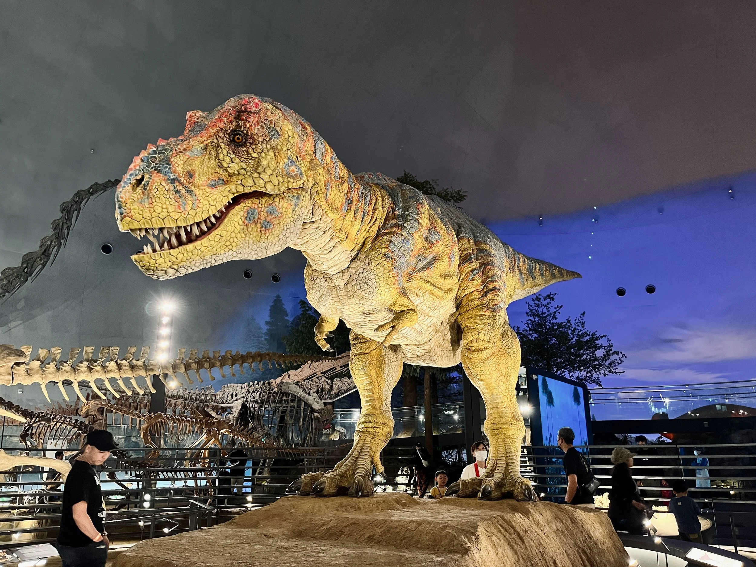 Serene Shrines and Sauruses — The ACCJ Journal