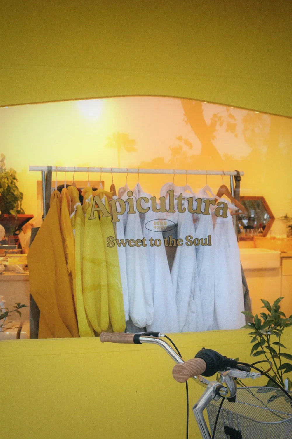 Visita al Apiario Dear Honey — Dear Honey