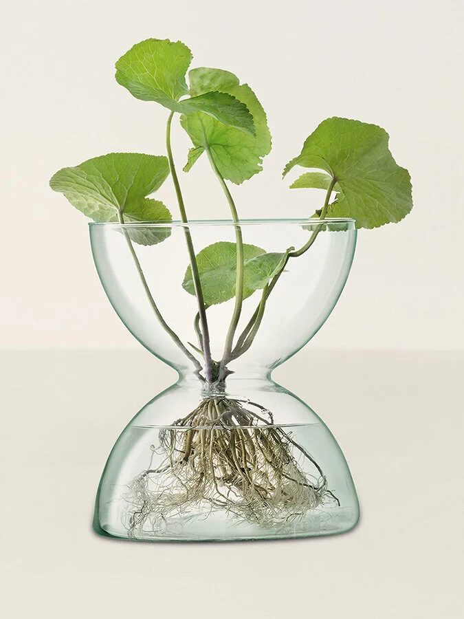 9 Ceramic & Glass Vases To Add To Our Spaces — The Good Trade