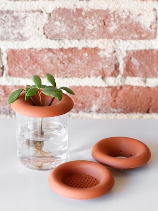 7 Gifts For New And Seasoned Plant Parents — The Good Trade