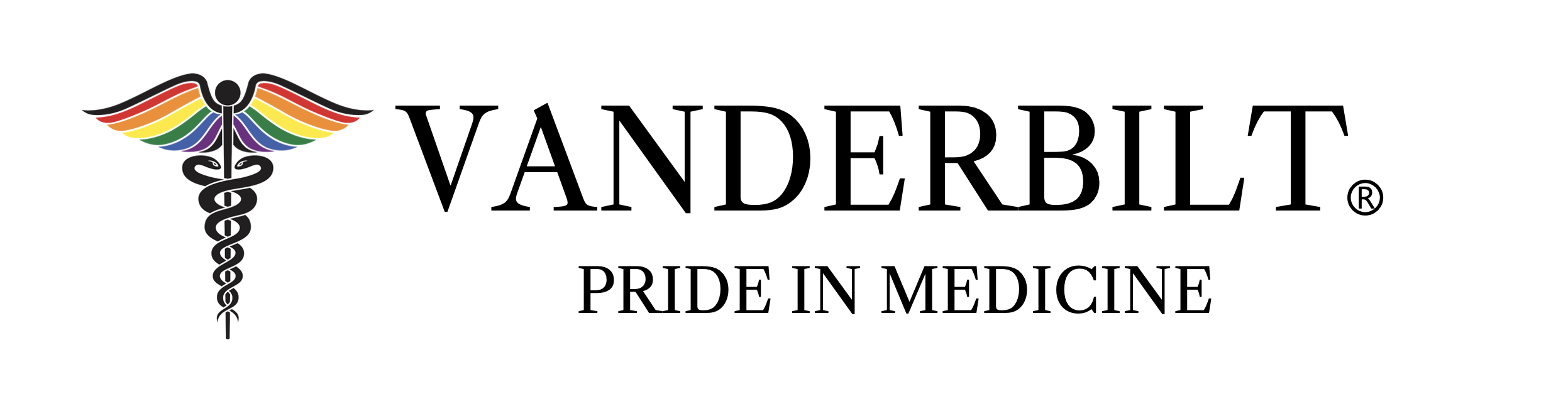 Chapter Showcase: Vanderbilt Pride in Medicine — Medical Student Pride ...
