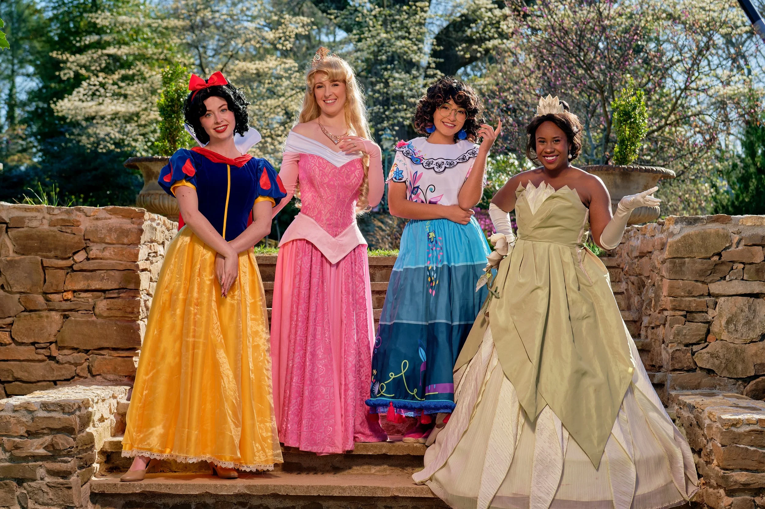 Hiring — Princess Parties by Mary