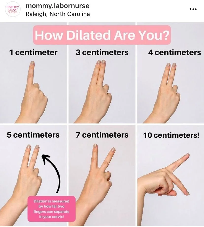 Cervical Dilation Examination At Bernadette Williams Blog