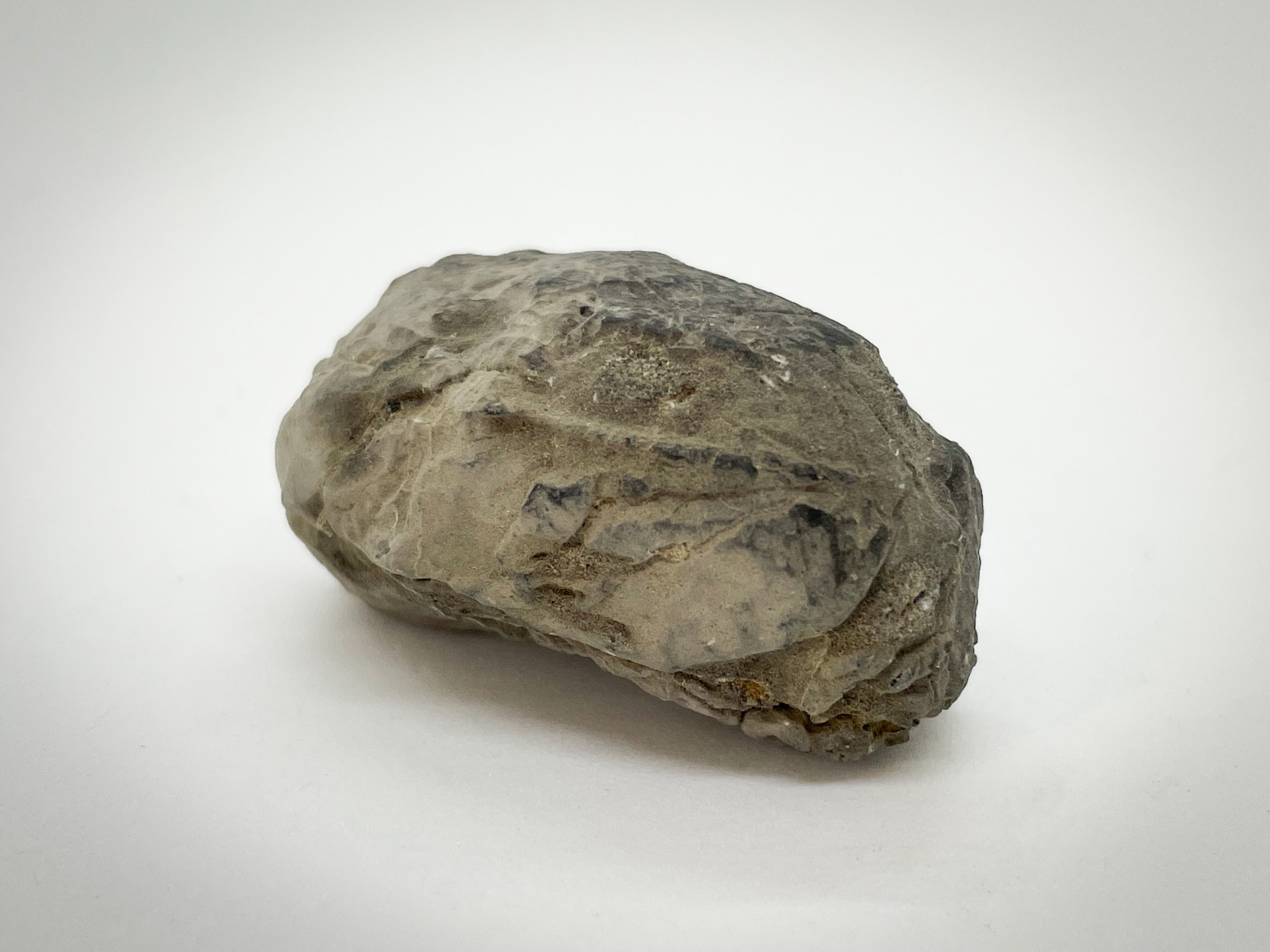 About Us — BlackRock Orthopedics