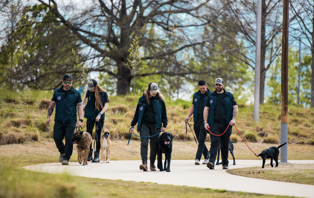 Cornerstone K9 | Professional Dog Training In Raleigh, NC