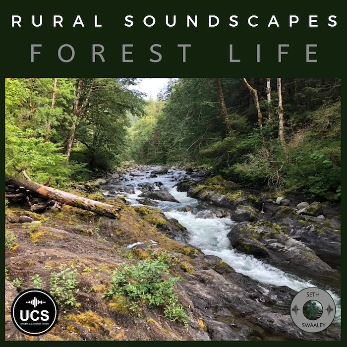 Forest Life — SETH SWAALEY