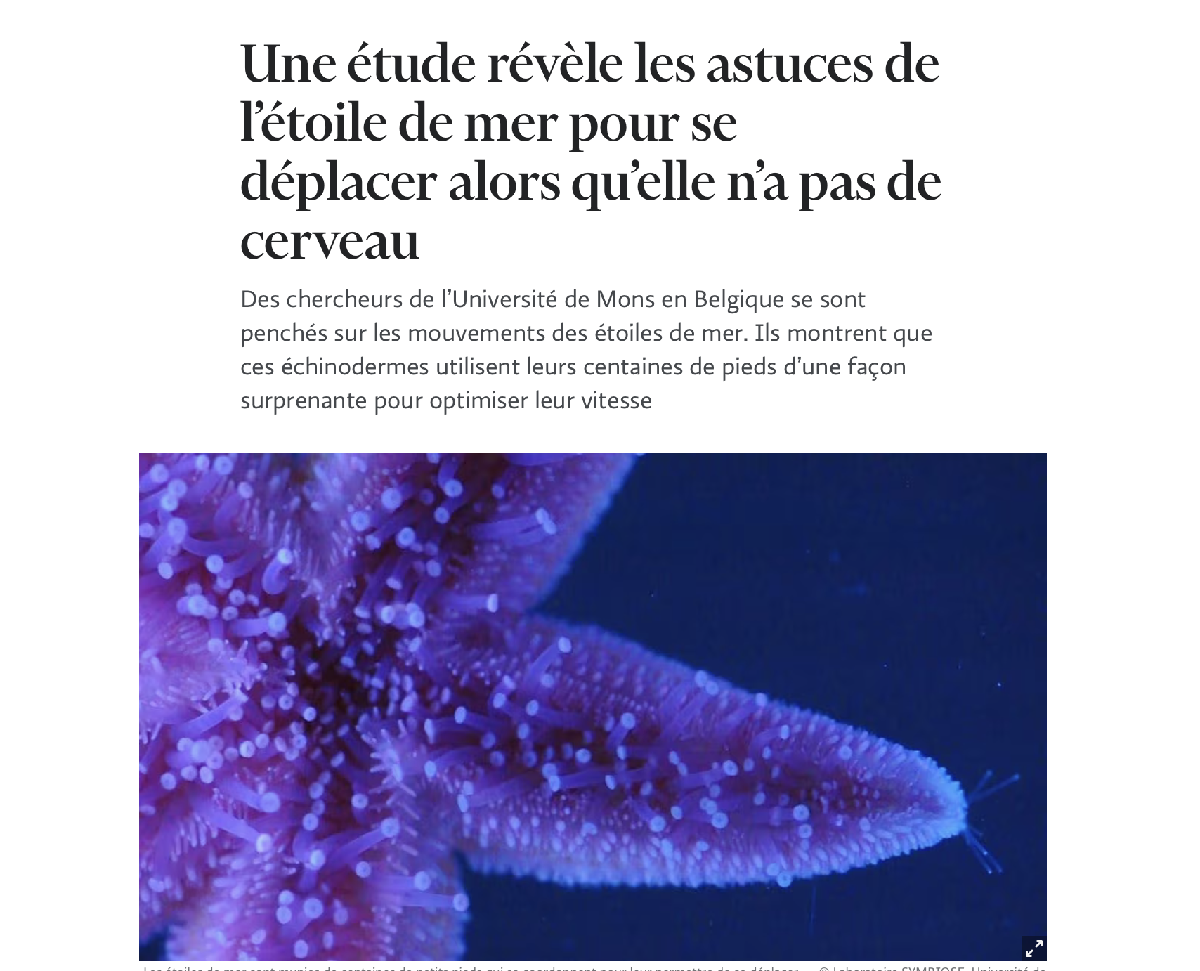 NEWS SYMBIOSE Lab | UMONS | S Gabriele | Mechanobiology