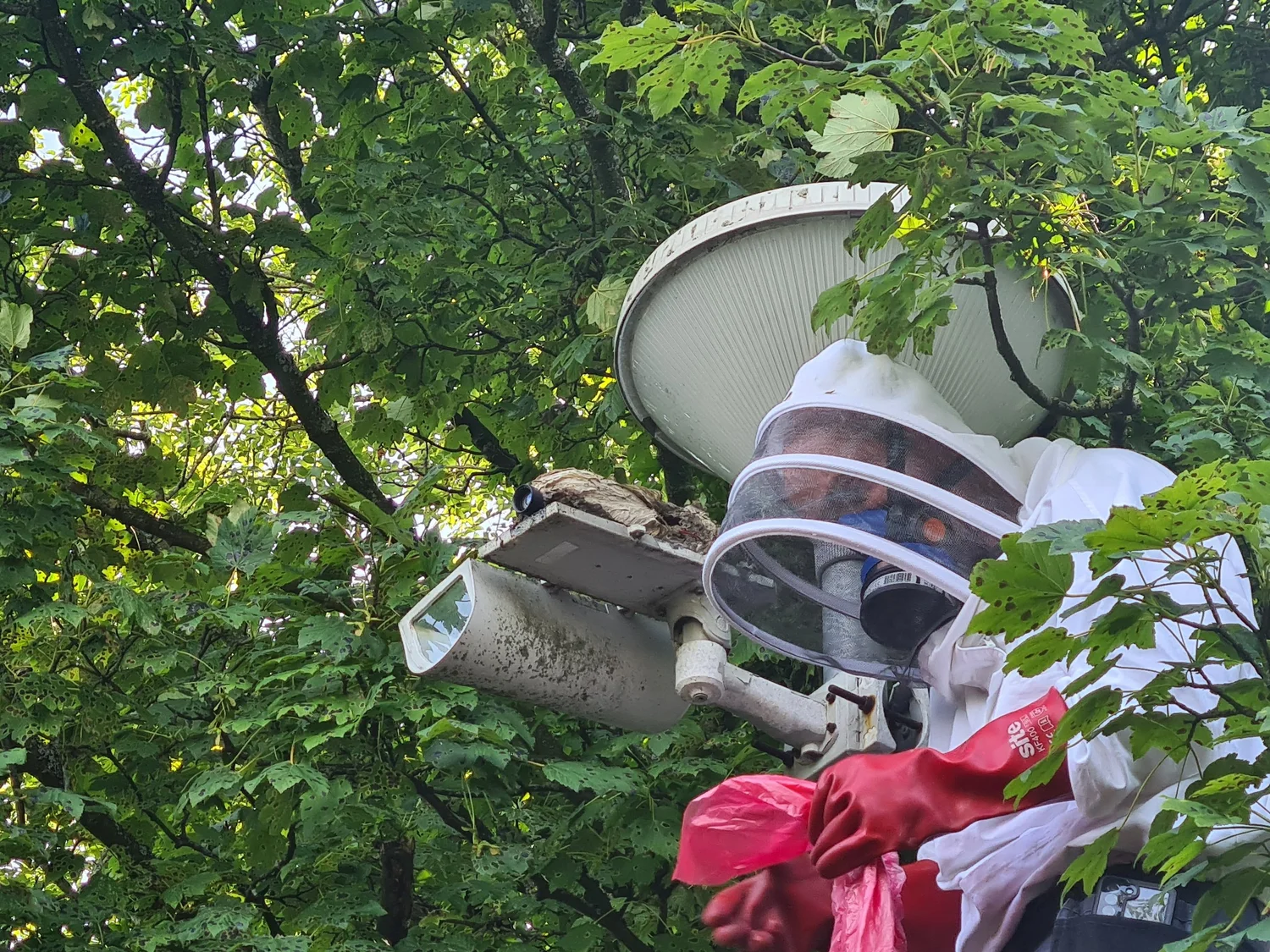 General 1 — Fire and Security Systems Belfast