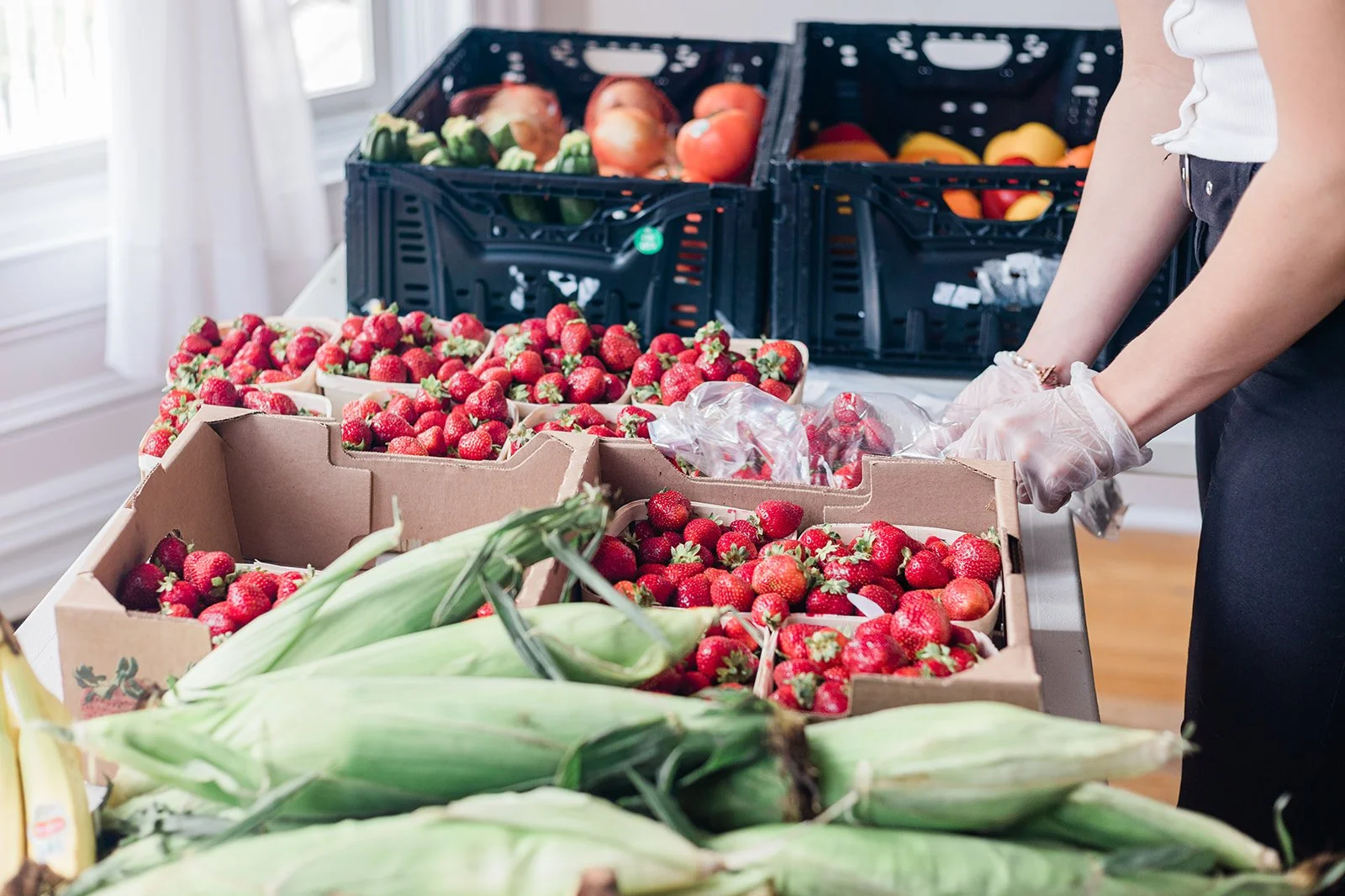 Mobile Food Market | Halifax