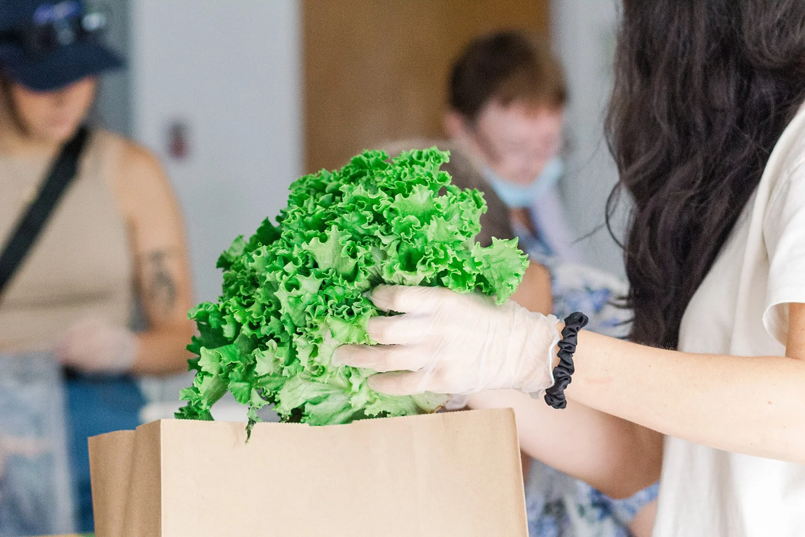 Mobile Food Market Food Asset Map — Mobile Food Market | Halifax