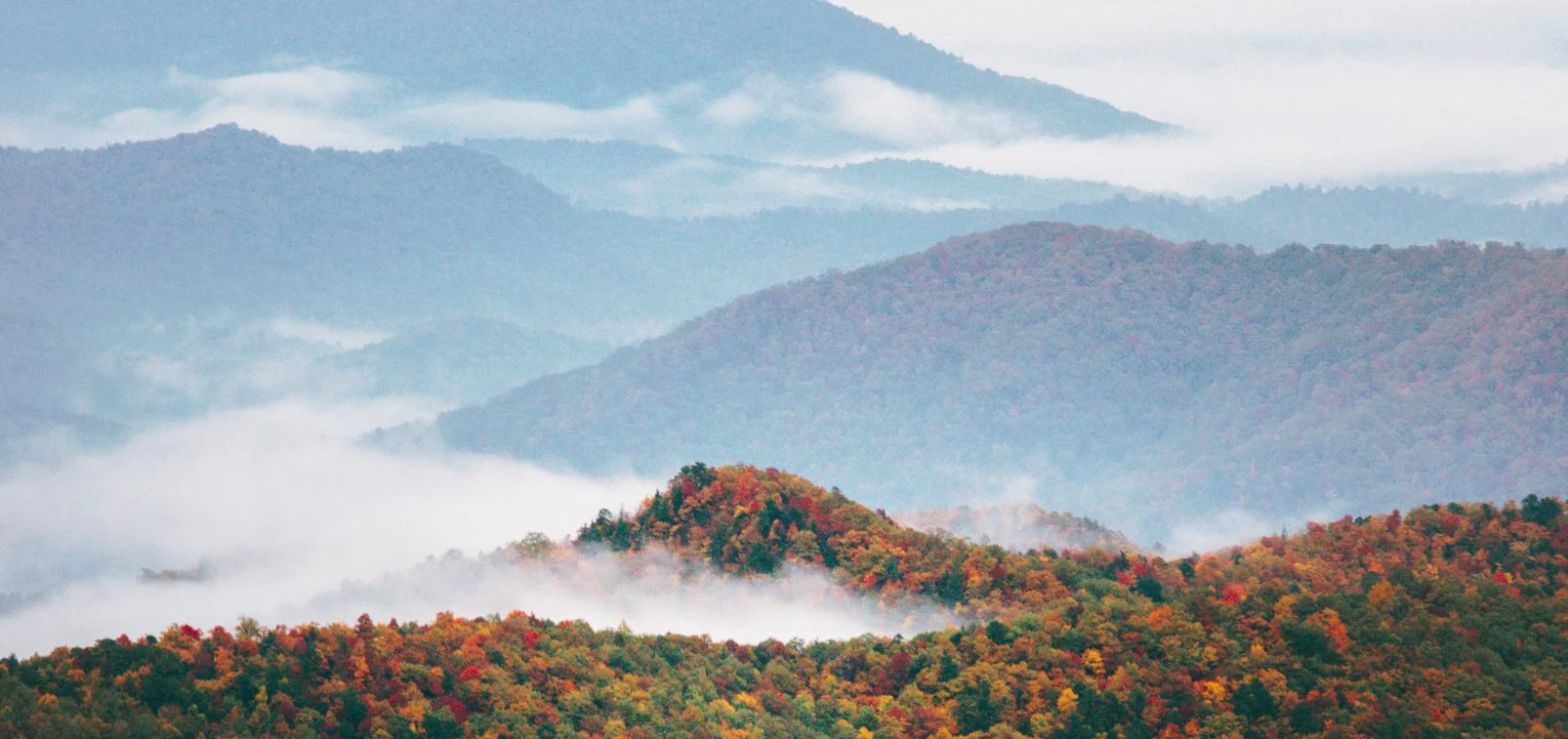 General 4 — EBCI Tribal ABC Commission