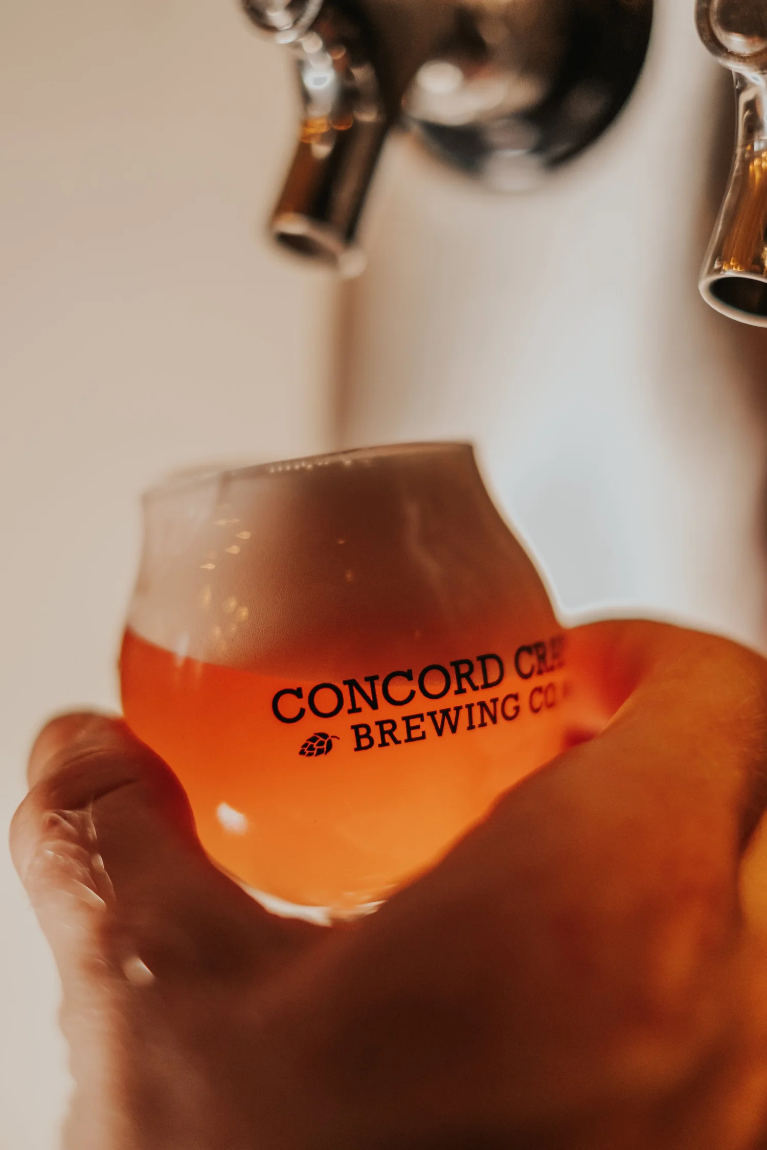 At the Brewery — Concord Craft Brewing Co.