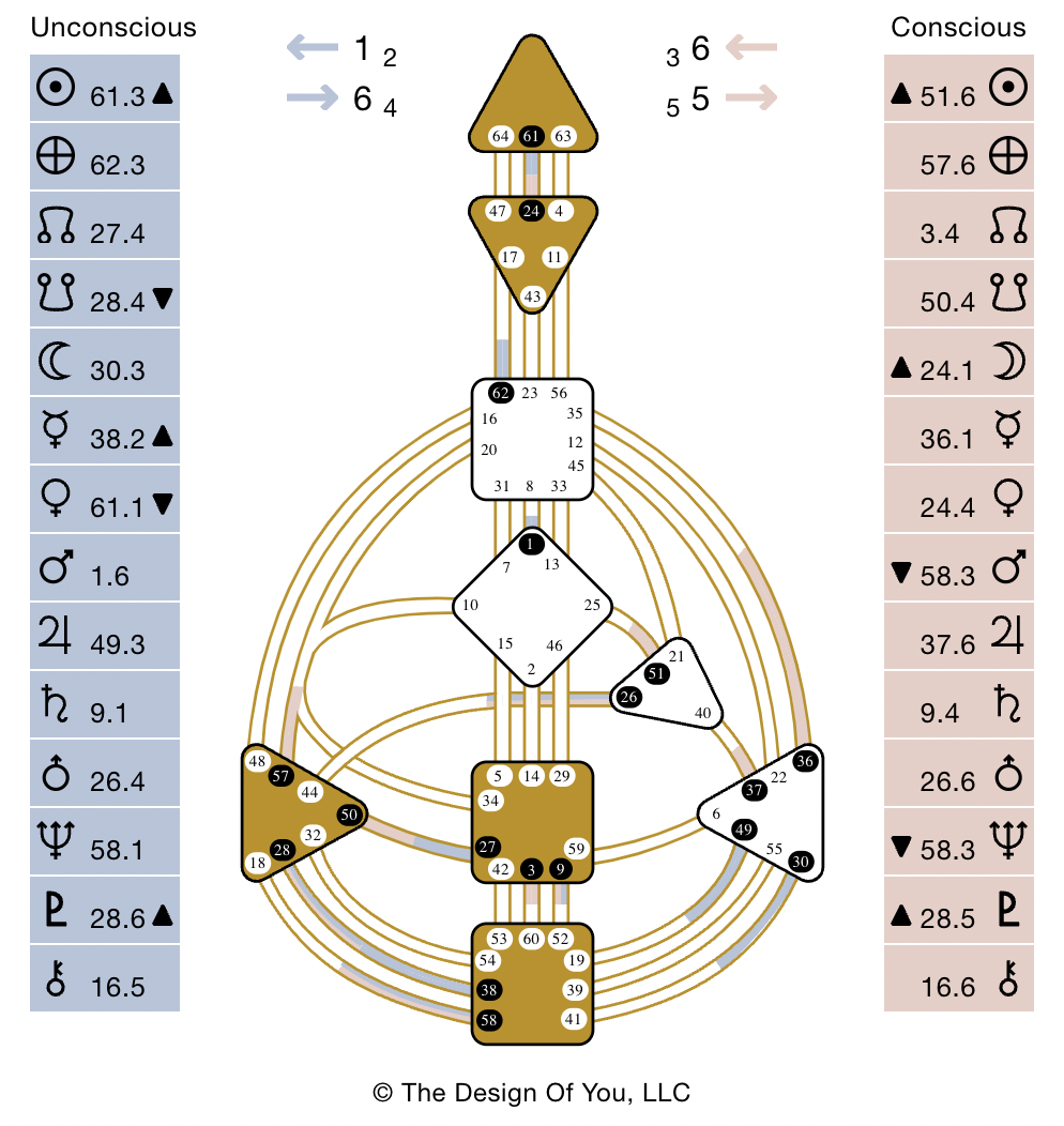 HUMAN DESIGN 101: WHAT YOU NEED TO KNOW ABOUT HUMAN DESIGN — The Design ...