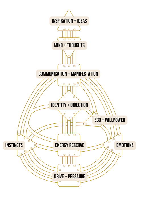 What Is Human Design | Human Design Explained — The Design Of You