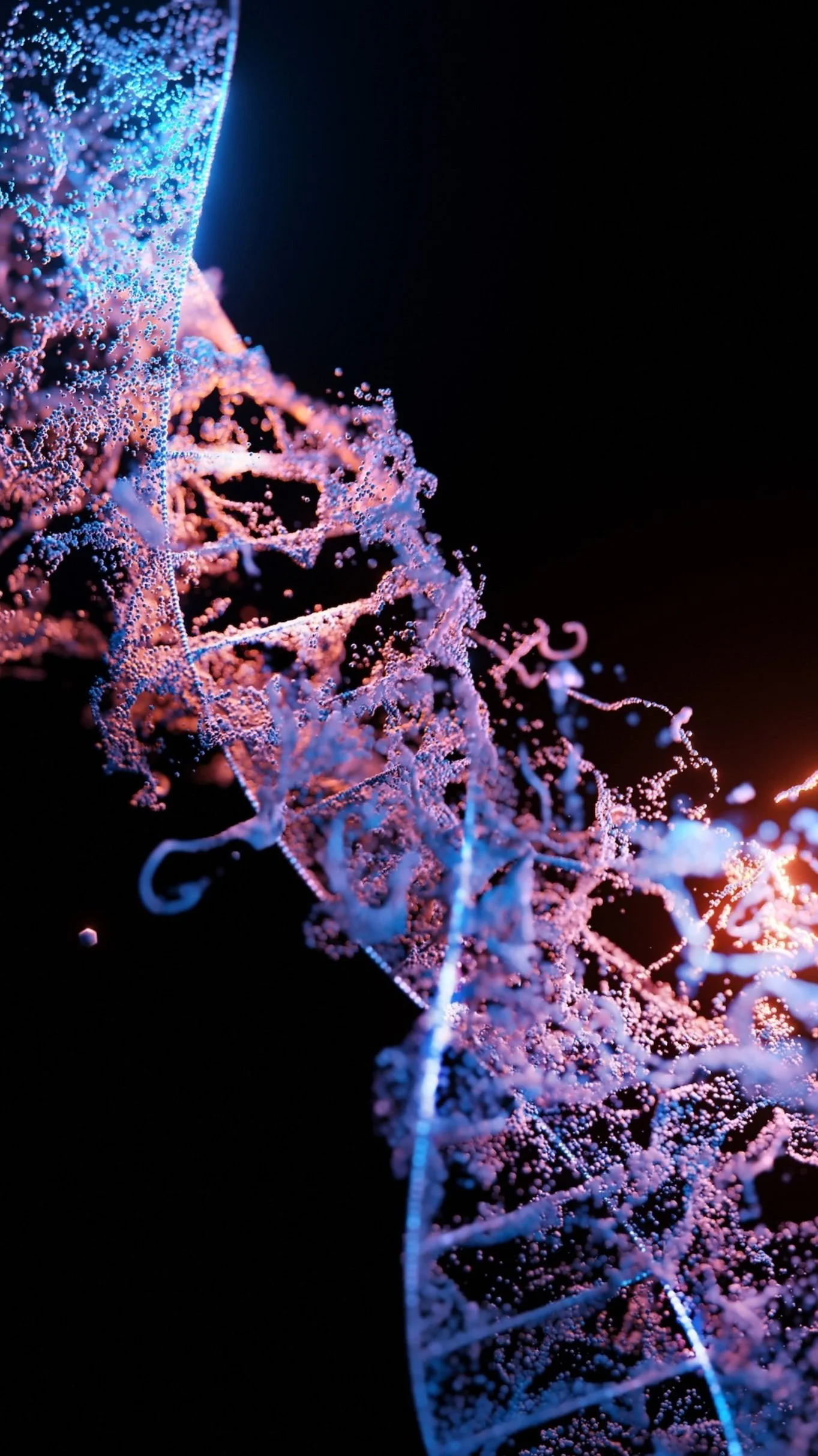 What Is Human Design | Human Design Explained — The Design Of You