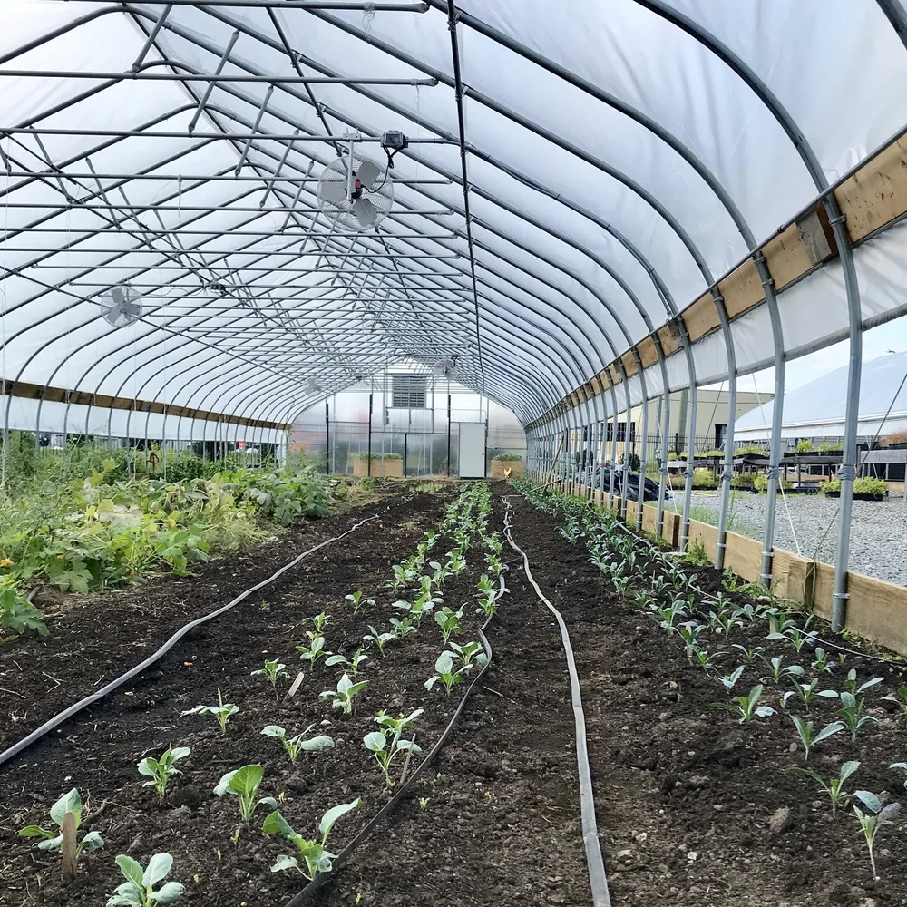 KGD Farm — Keep Growing Detroit
