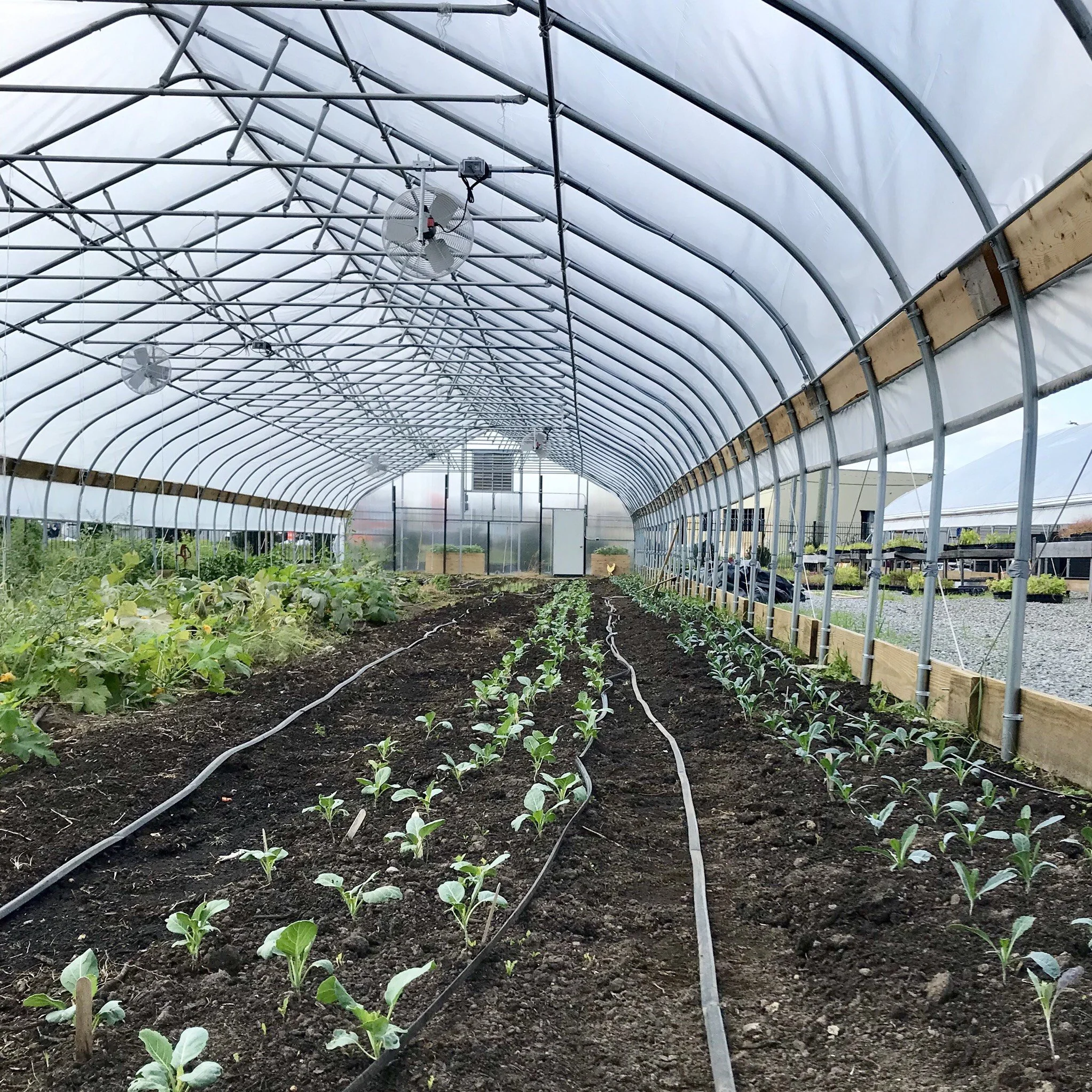 KGD Farm — Keep Growing Detroit
